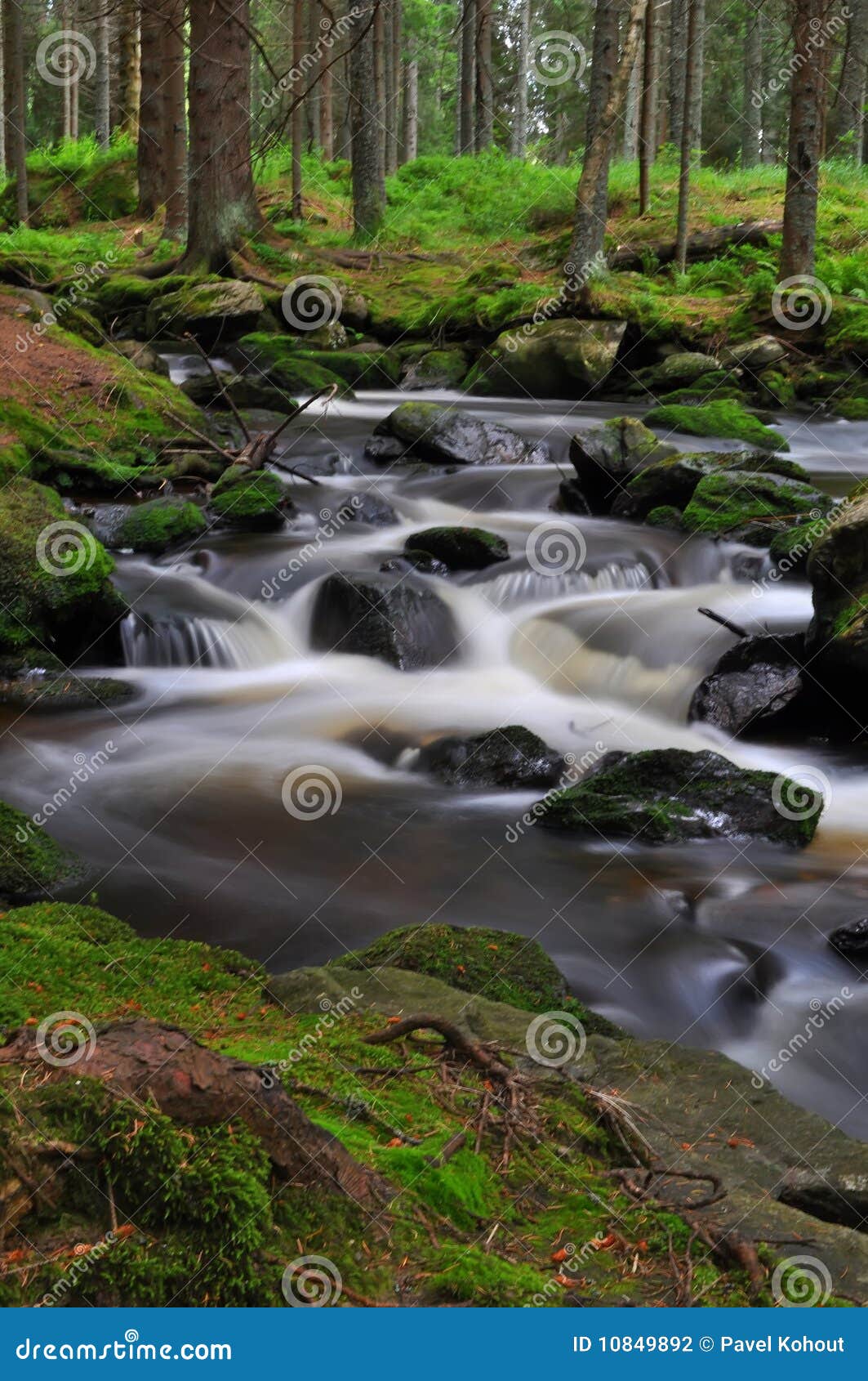 Flod arkivfoto. Bild av bild, skog, harmoni, bakgrunder - 10849892