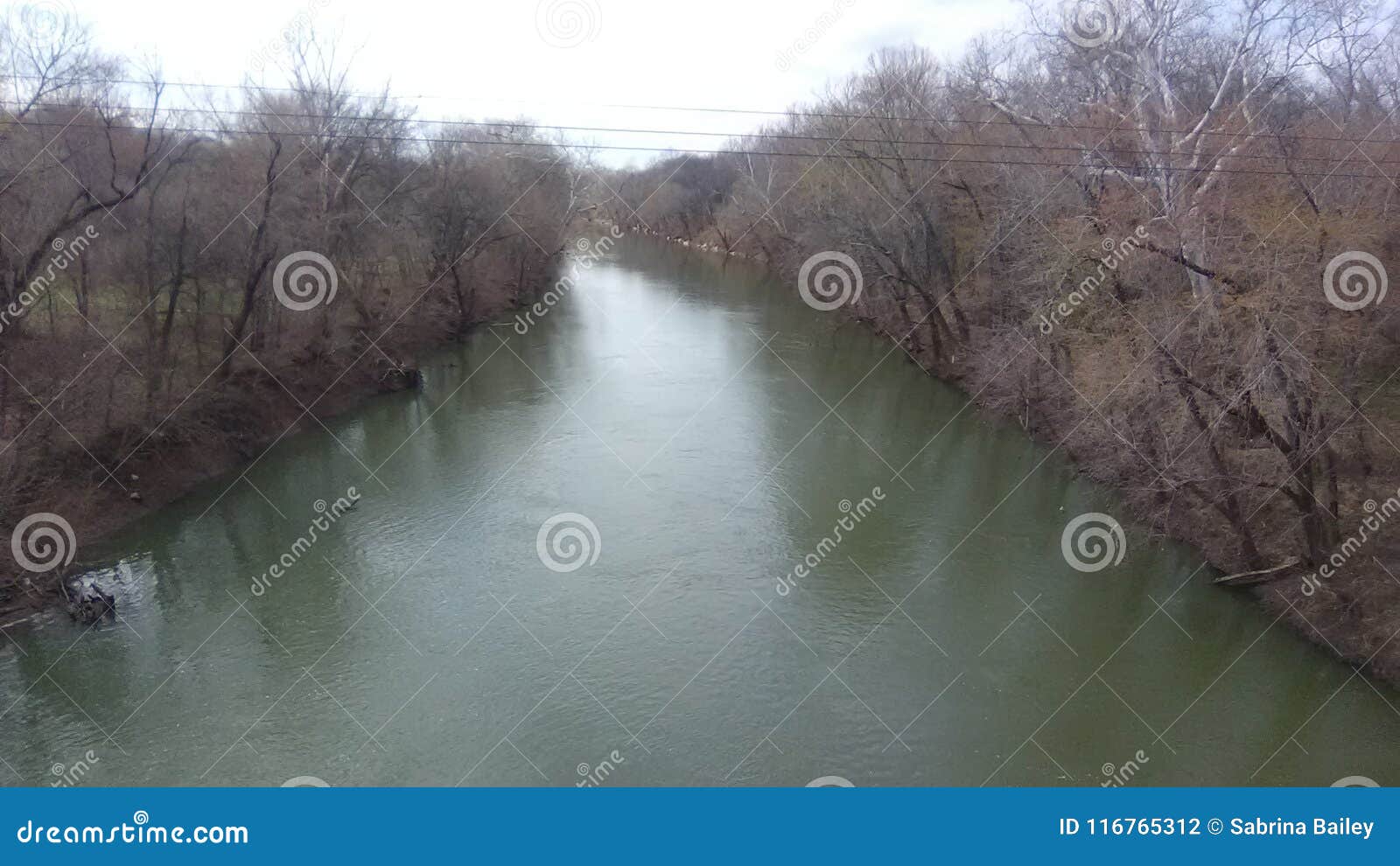 Flod arkivfoto. Bild av stillsamt, flod, natur, trän - 116765312