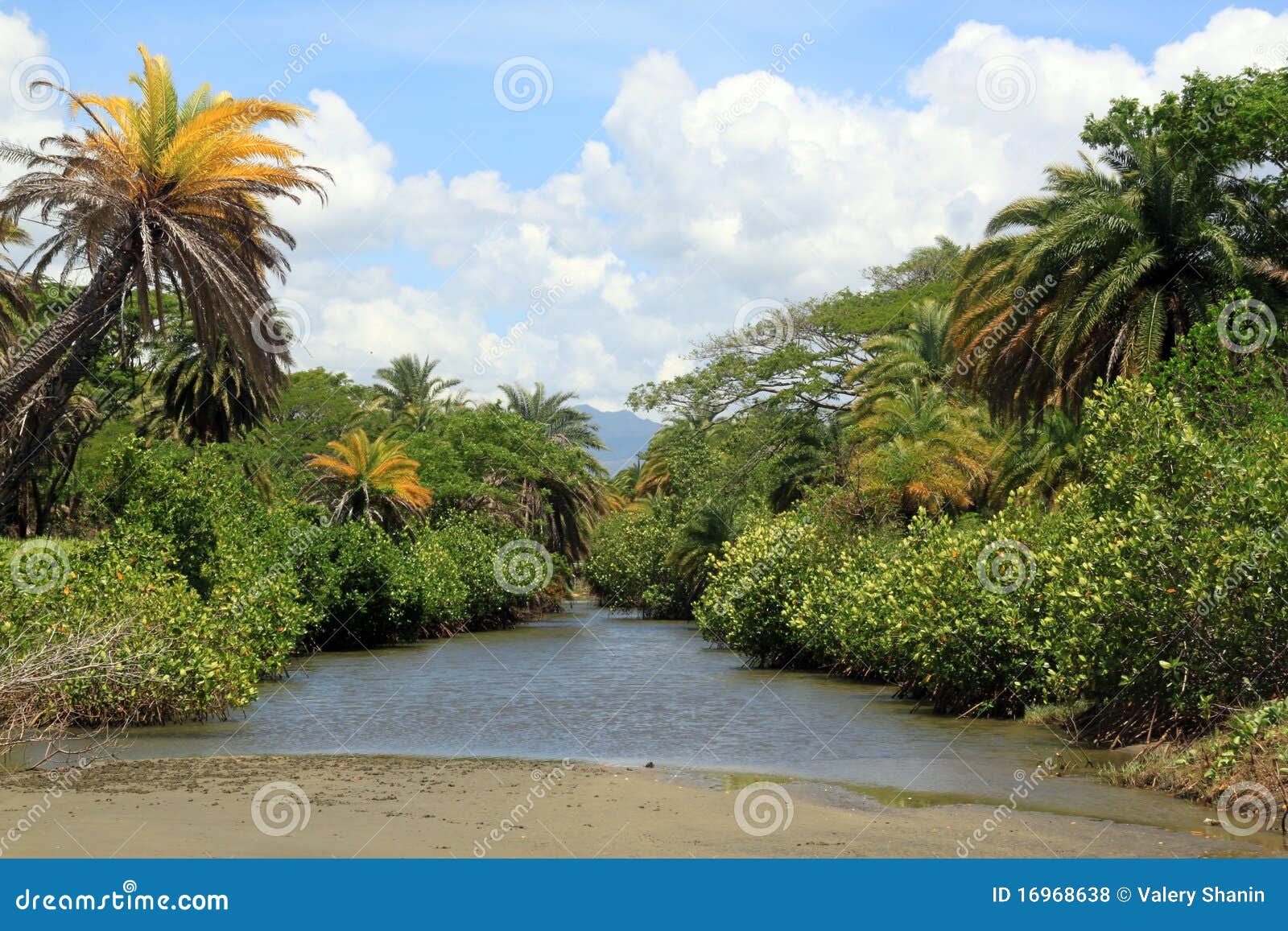 Flod arkivfoto. Bild av klimat, träd, inget, buske, plats - 16968638