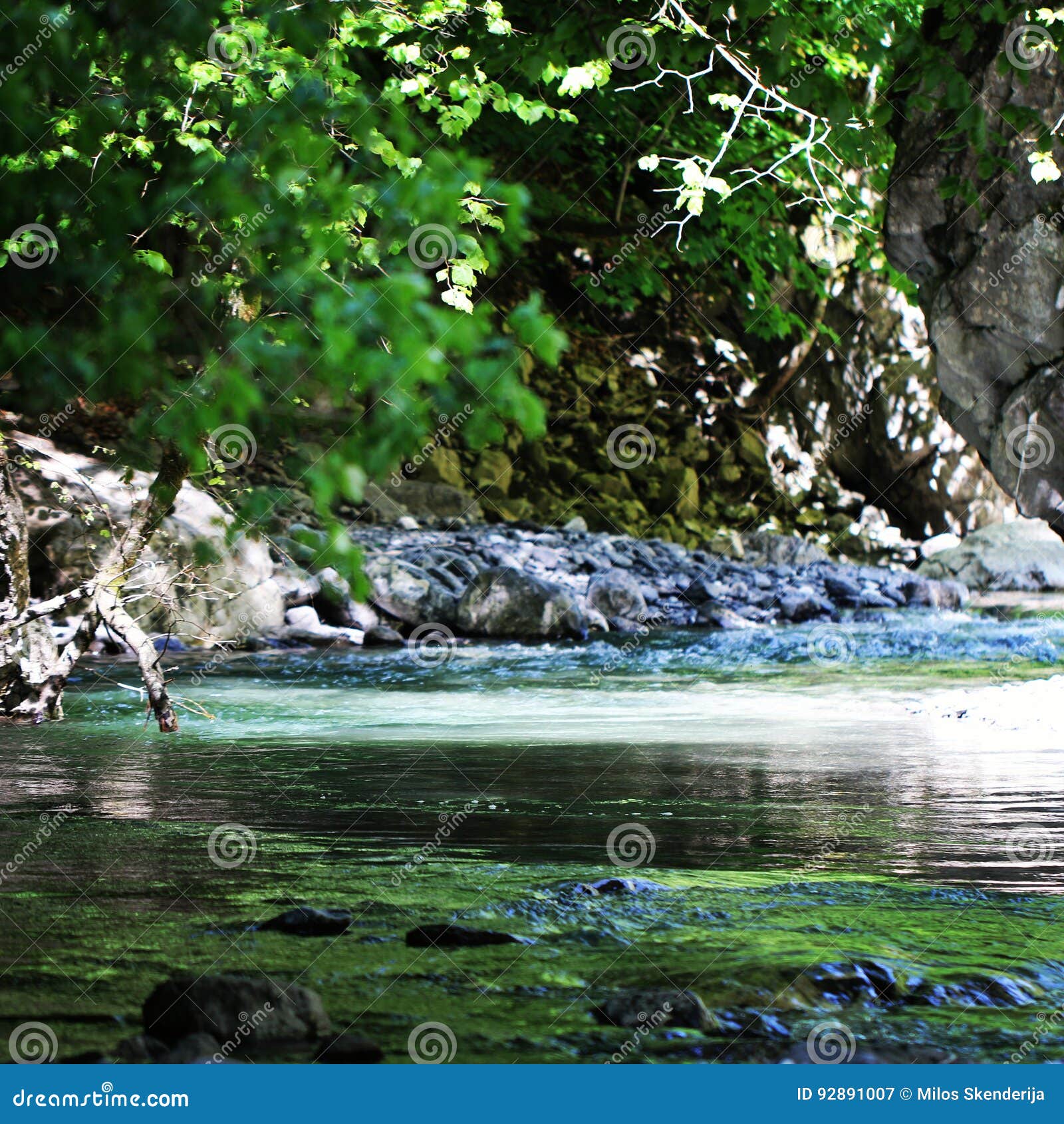 Flod fotografering för bildbyråer. Bild av natur, sommar - 92891007