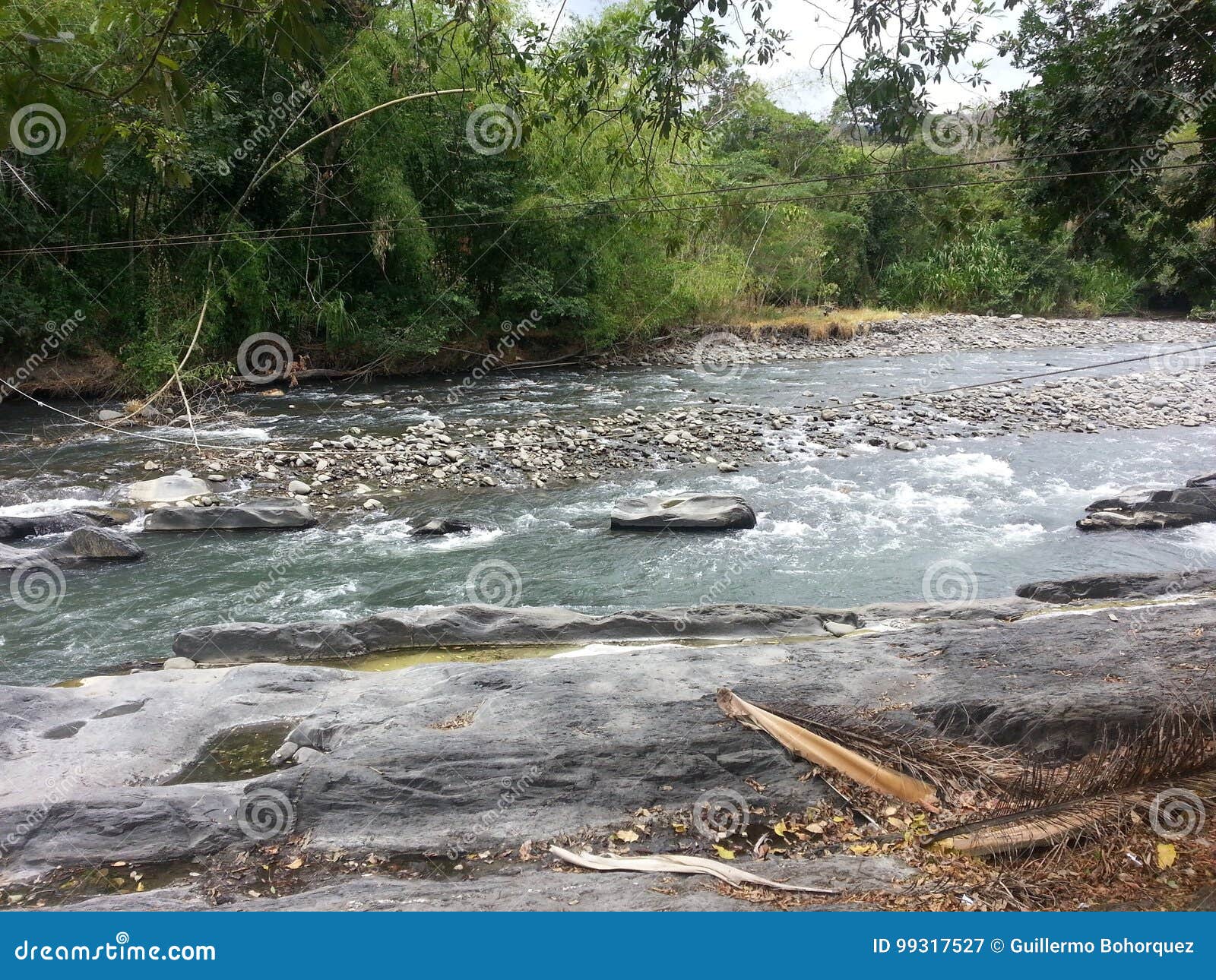 Flod fotografering för bildbyråer. Bild av skum, flod - 99317527