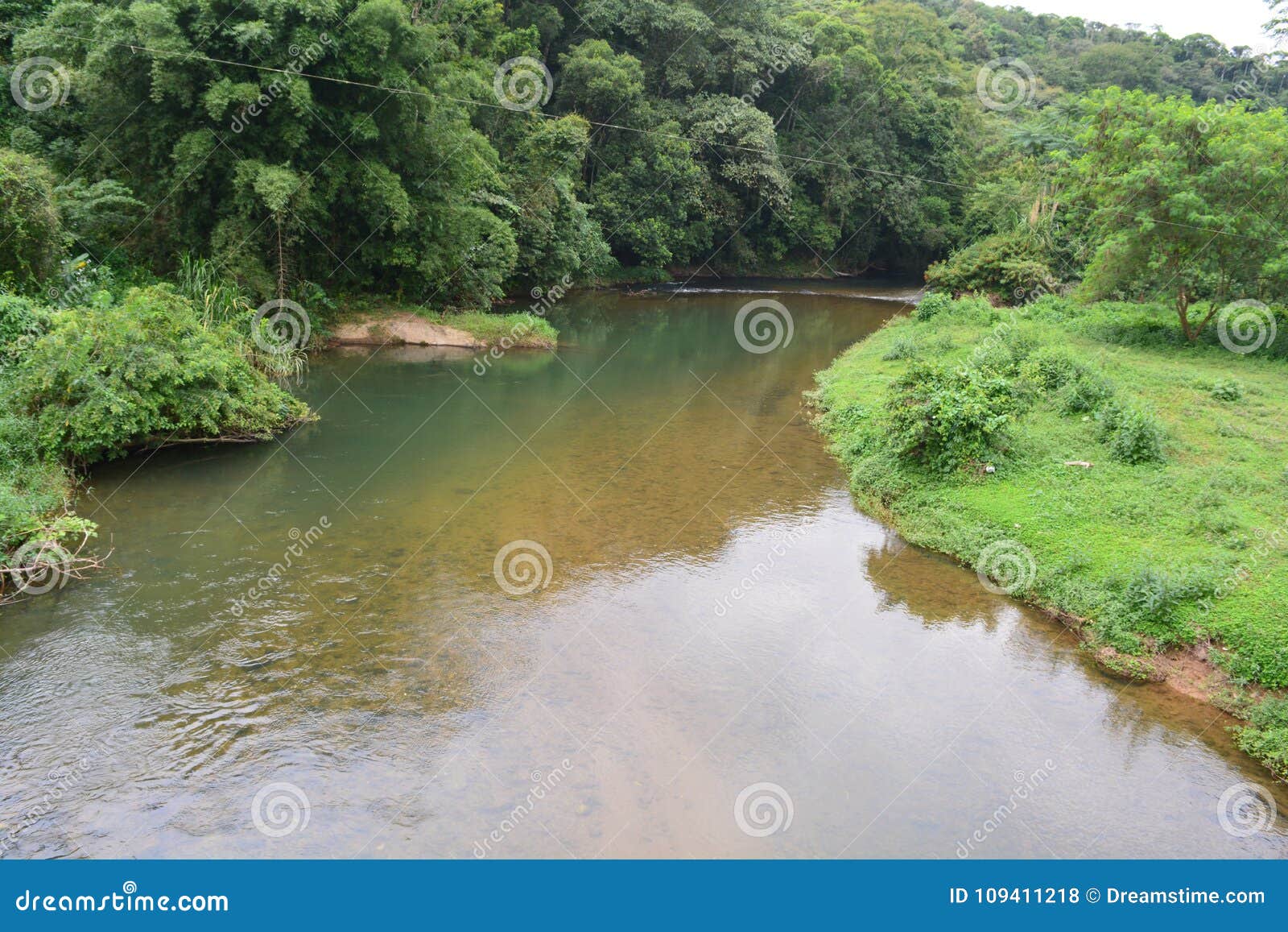 Flod i en skog arkivfoto. Bild av floder, skog, ställe - 109411218