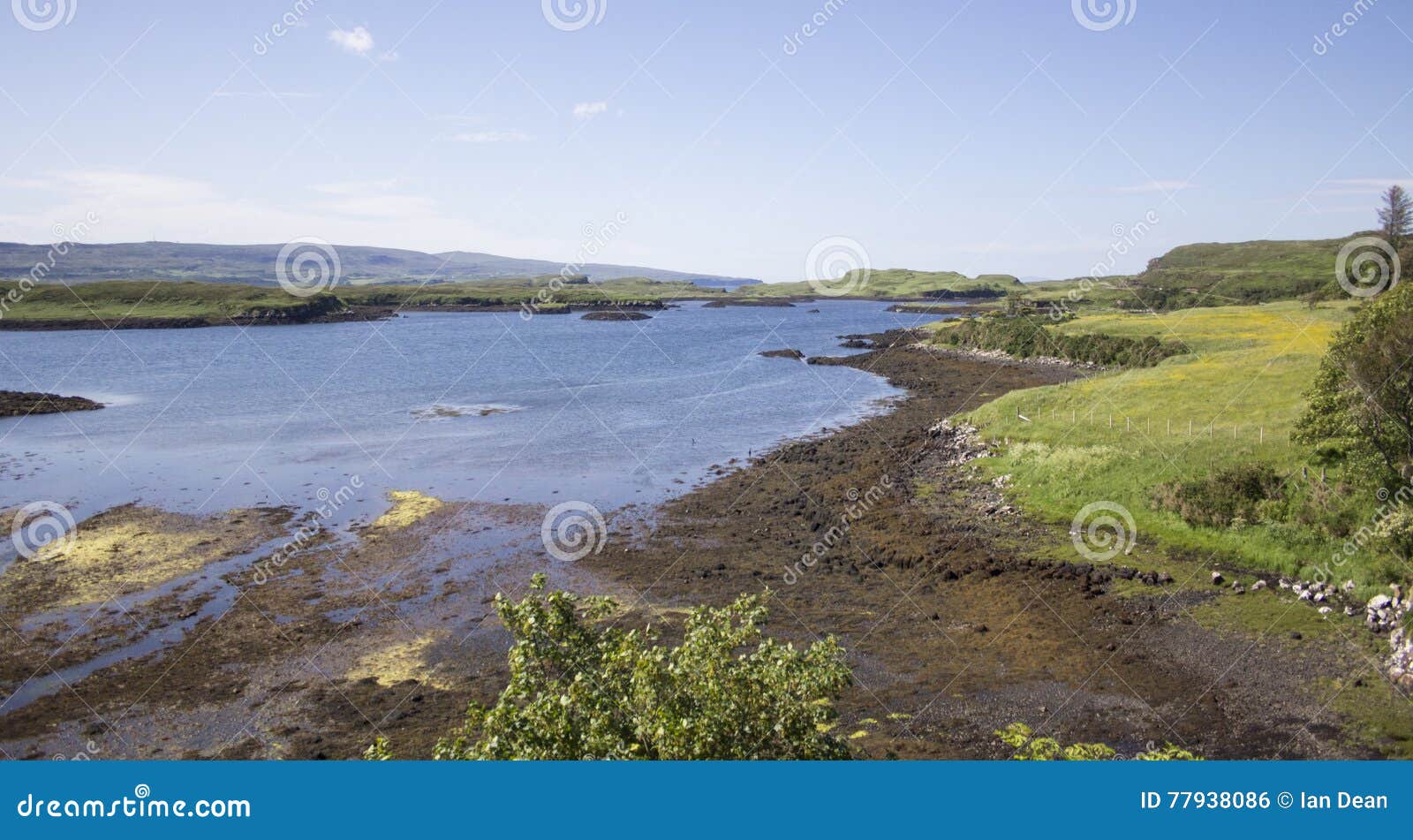 Flod i Skottland arkivfoto. Bild av liggande, europa - 77938086