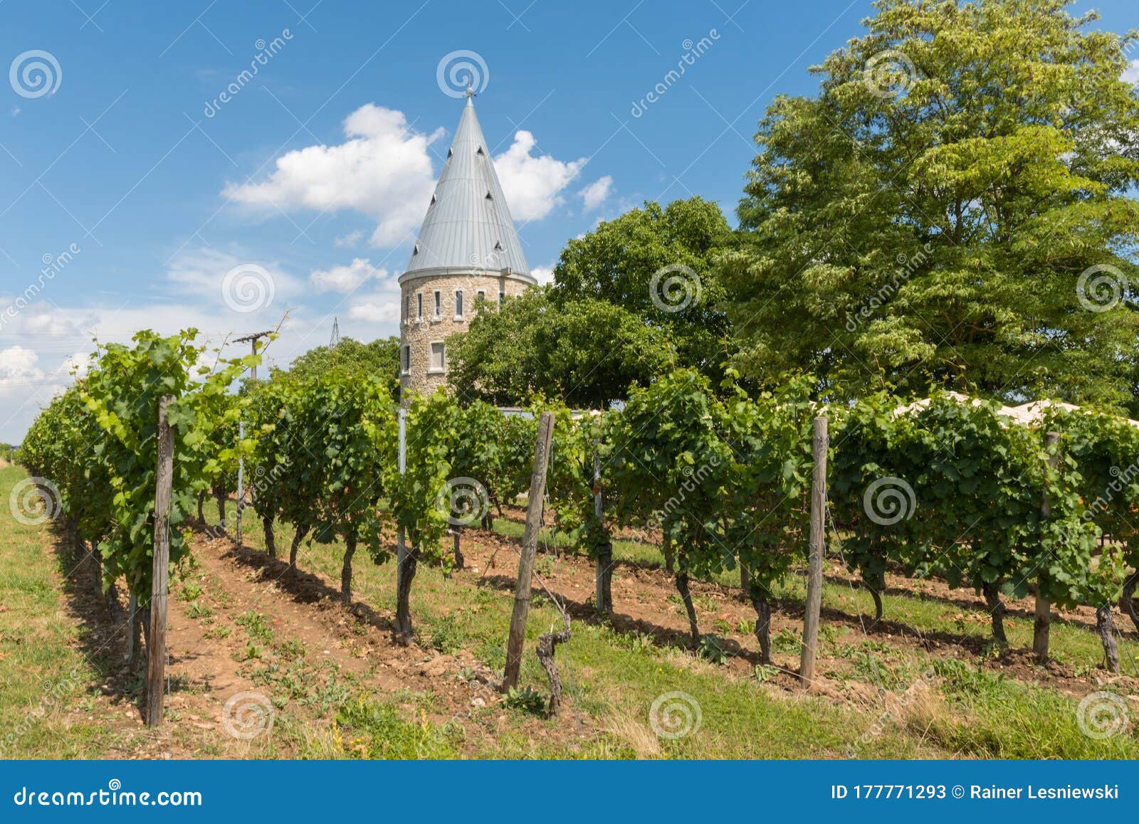 Floersheimer Tower in the Vineyards of the Wicker District Editorial ...