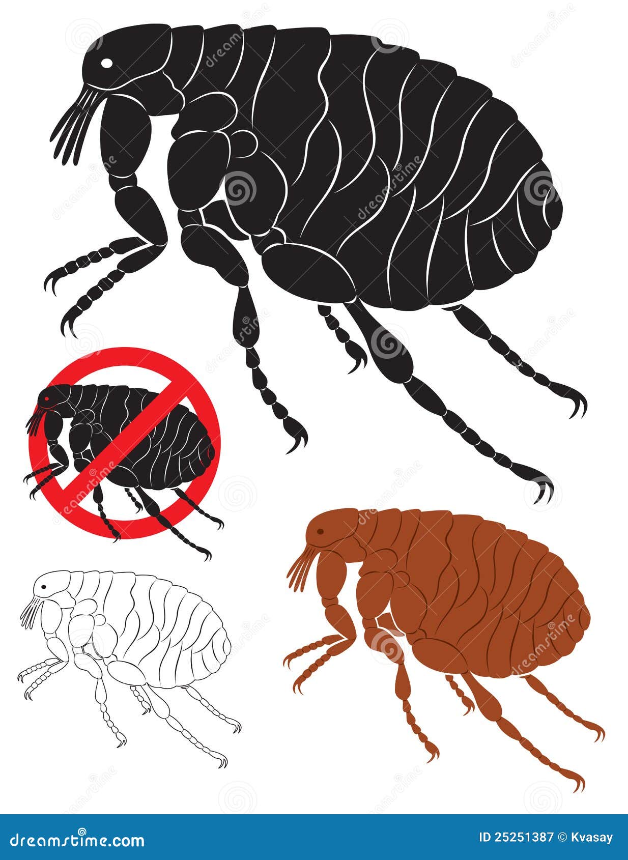 Floh vektor abbildung. Illustration von insekt, schwarzes - 25251387