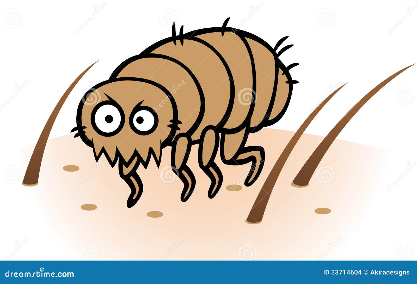 Floh Auf Menschen- Oder Hundehaut Stock Abbildung - Illustration von ...