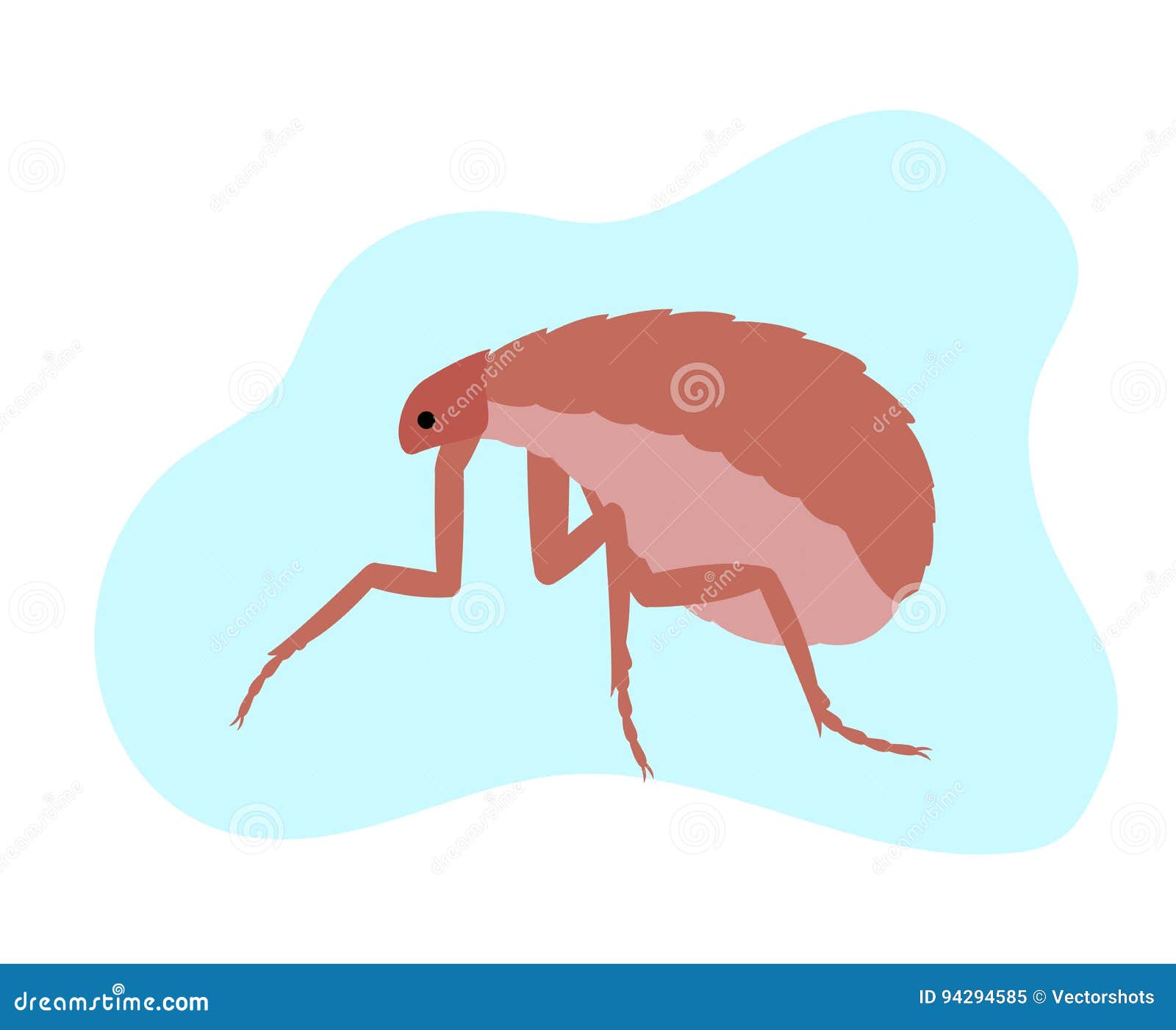 Floh-Vektor-Insekt vektor abbildung. Illustration von plage - 94294585