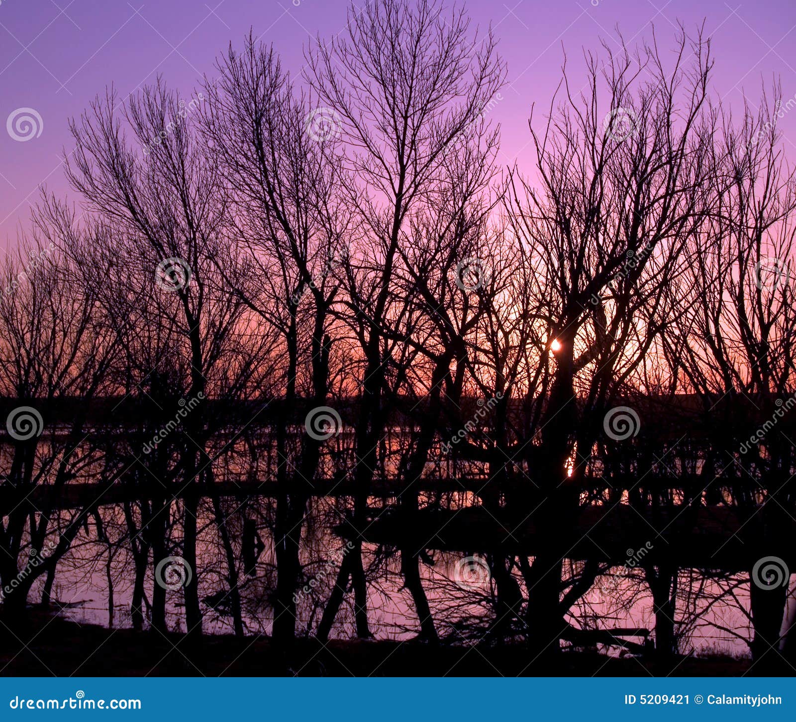 Flood Abstract with Purple Sunset Stock Image - Image of river, natural ...