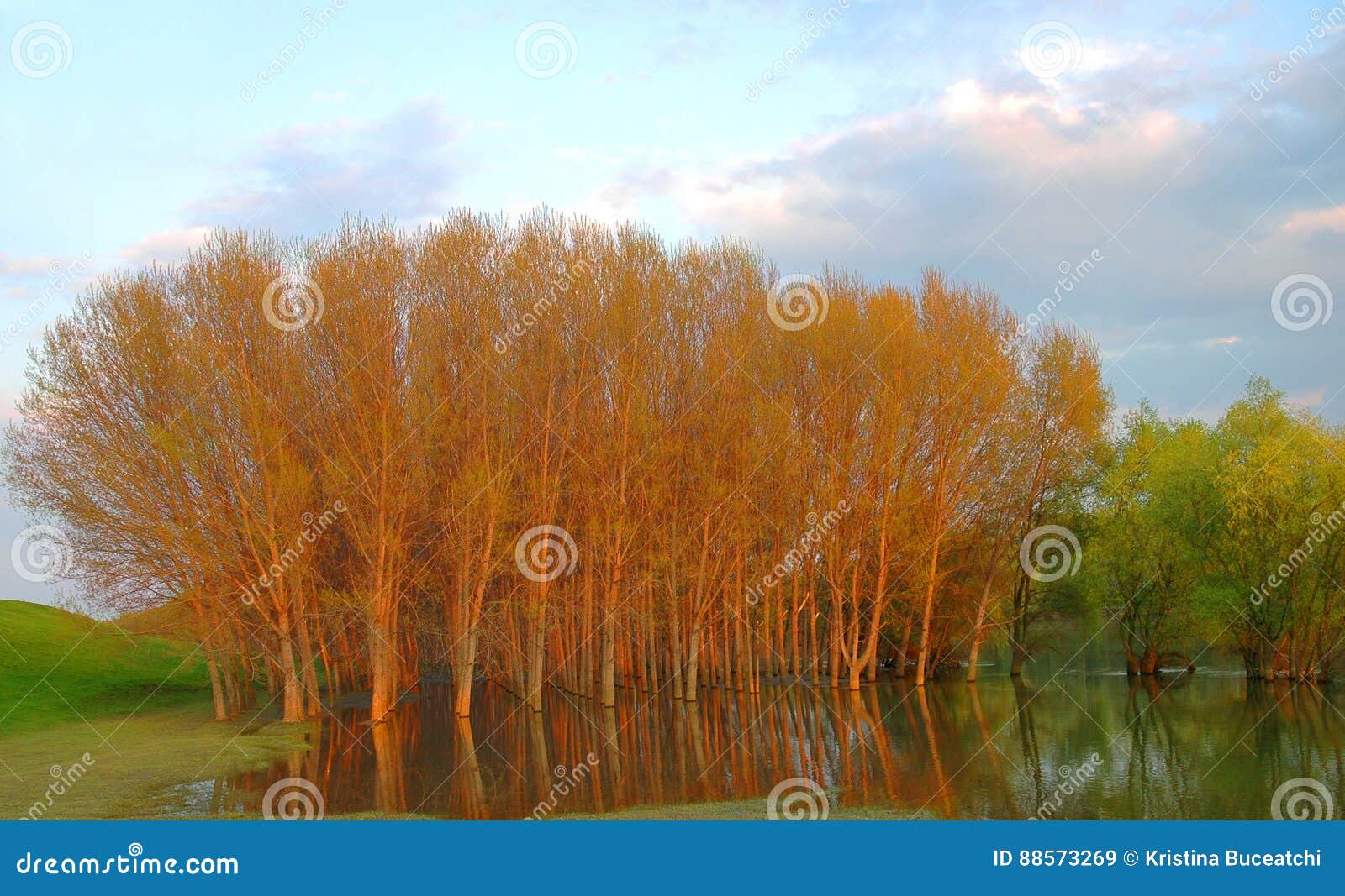 Flood stock image. Image of water, beautiful, sunset - 88573269