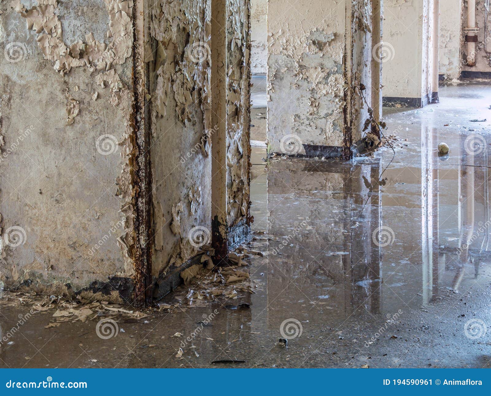 Flood damage in the cellar stock image. Image of renovation - 194590961