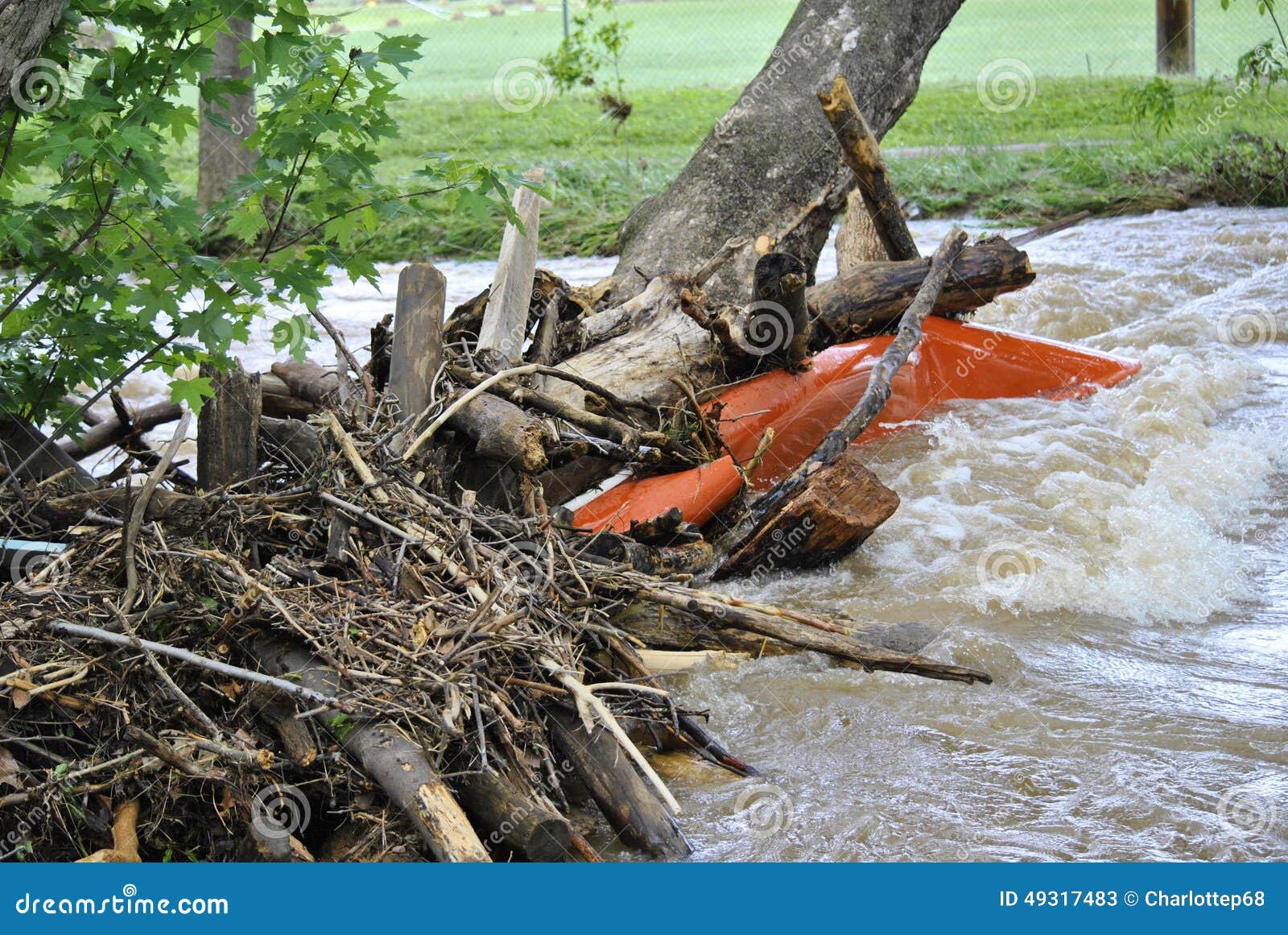 Flood debris stock image. Image of debris, muddy, flood - 49317483