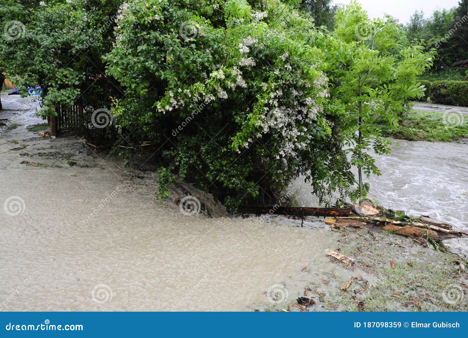 Flood, a Destructive Natural Phenomenon Stock Image - Image of ...