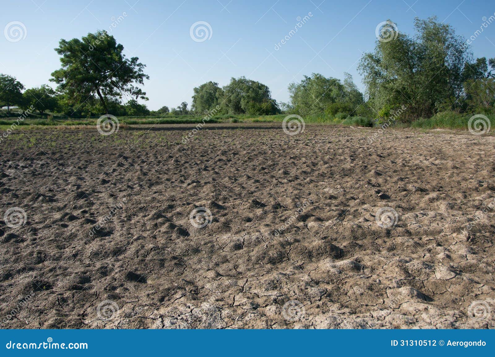 Flood devastated field stock photo. Image of rural, land - 31310512
