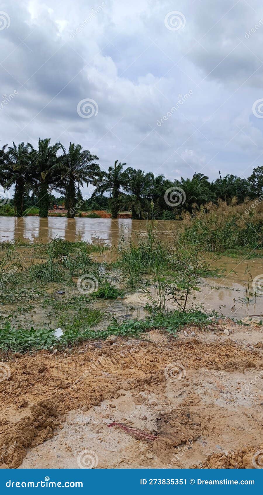 Flood Disaster Village editorial photo. Image of beach - 273835351