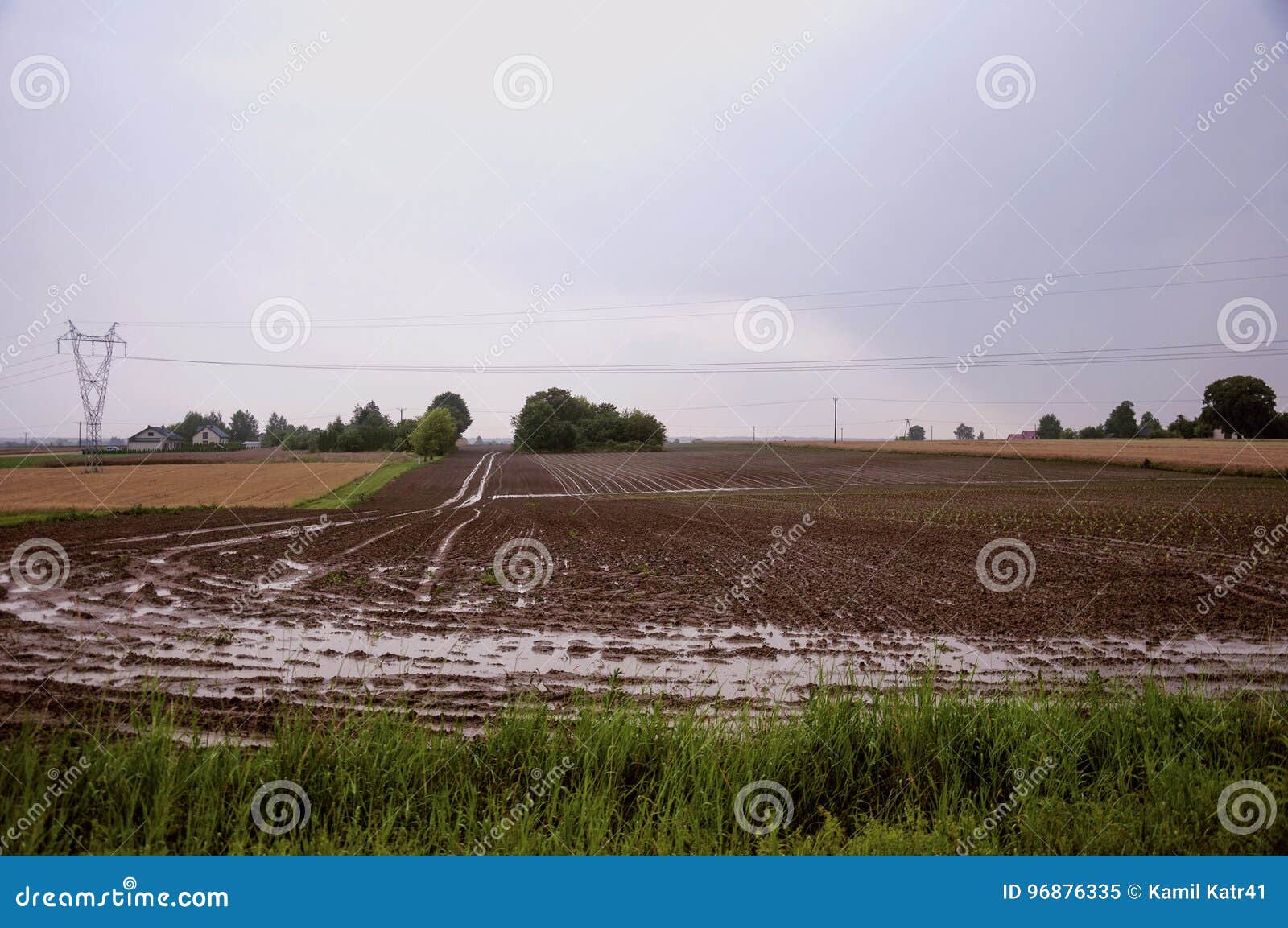 Flood on Field after Rain-agricultural Disaster Stock Image - Image of ...
