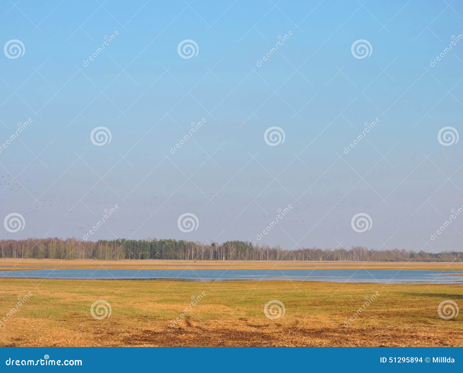 Flood in Fields. Lithuanian Spring Landscape Stock Photo - Image of ...