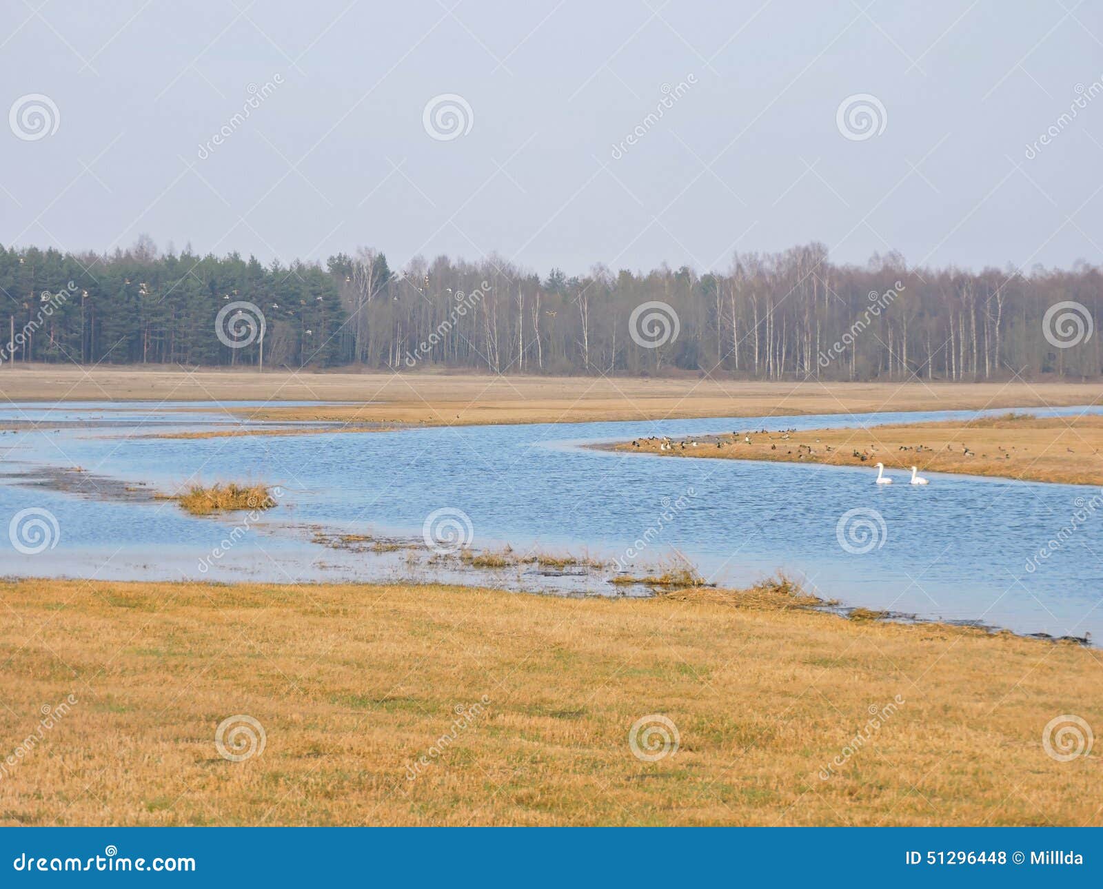 Flood in Fields. Lithuanian Spring Landscape Stock Photo - Image of ...