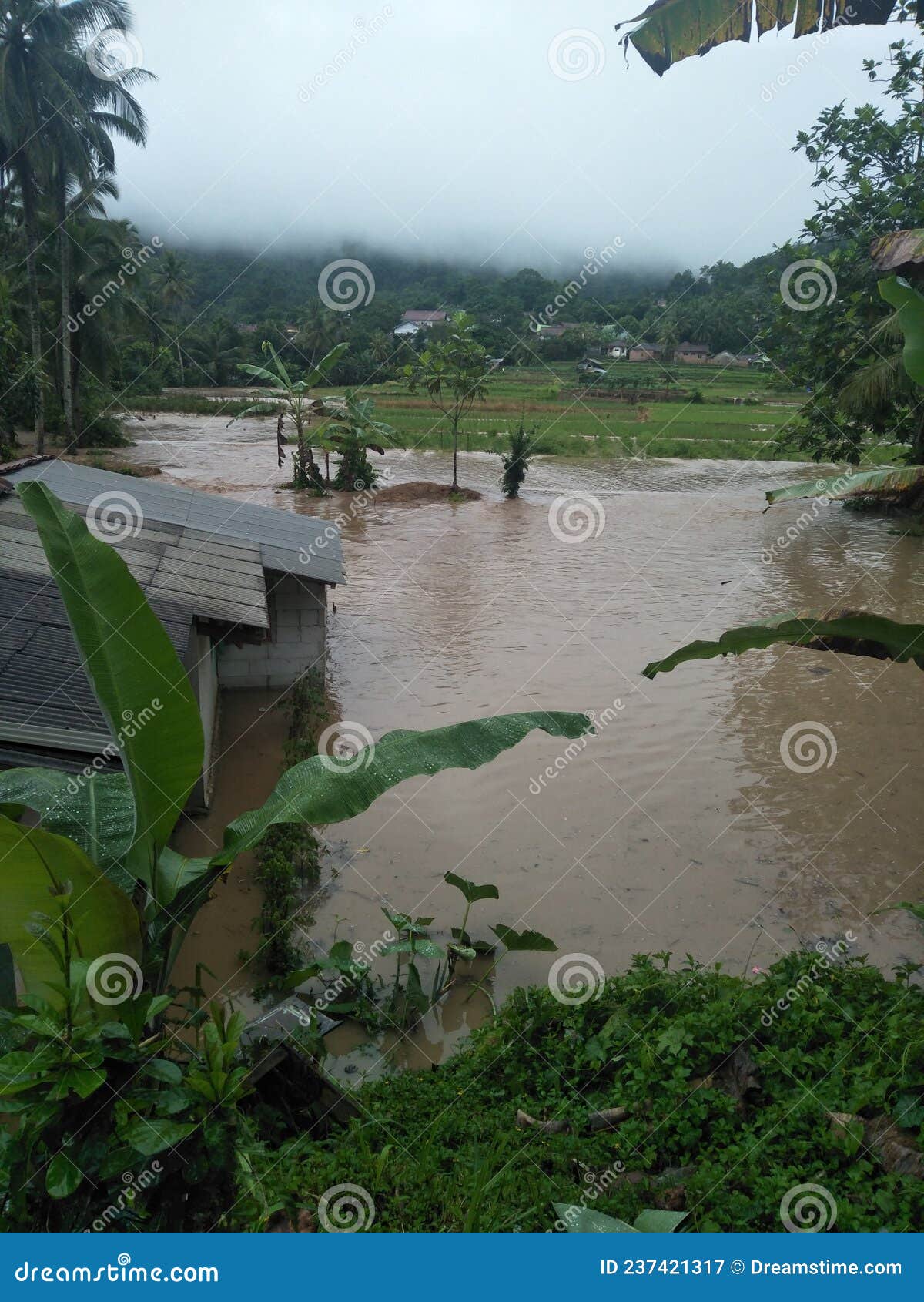 Flood after heavy raining stock image. Image of village - 237421317