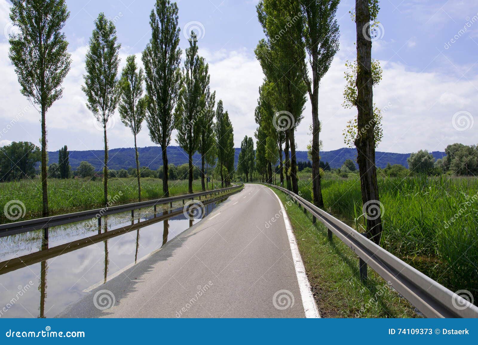 Flood stock image. Image of reflection, disaster, bodensee - 74109373