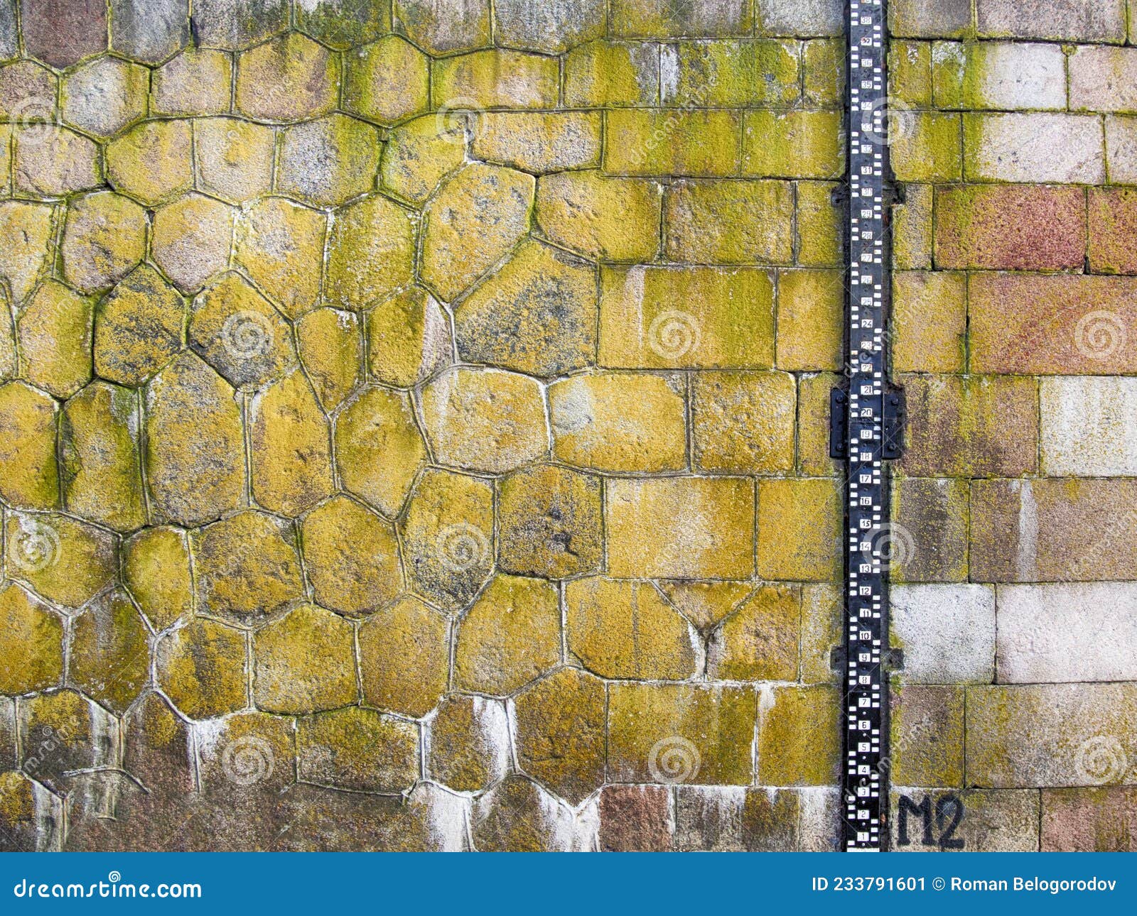 The flood level meter stock image. Image of environmental - 233791601