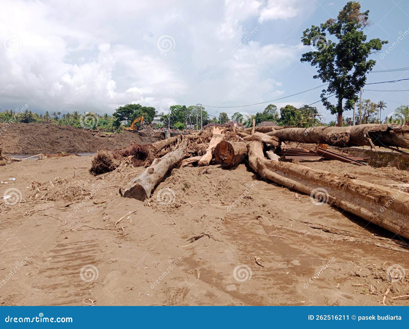 Flood stock image. Image of upstream, flood, logs, carried - 262516211