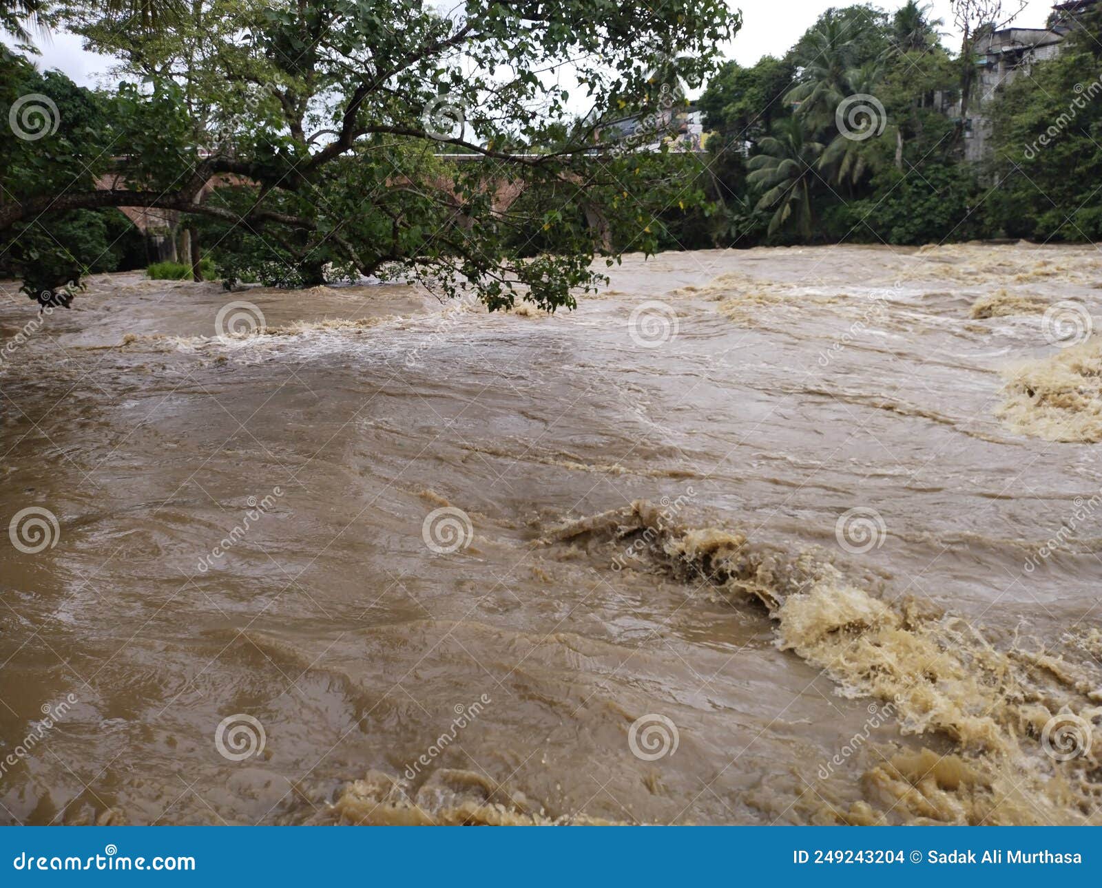 Mawanella Stock Photos - Free & Royalty-Free Stock Photos from Dreamstime