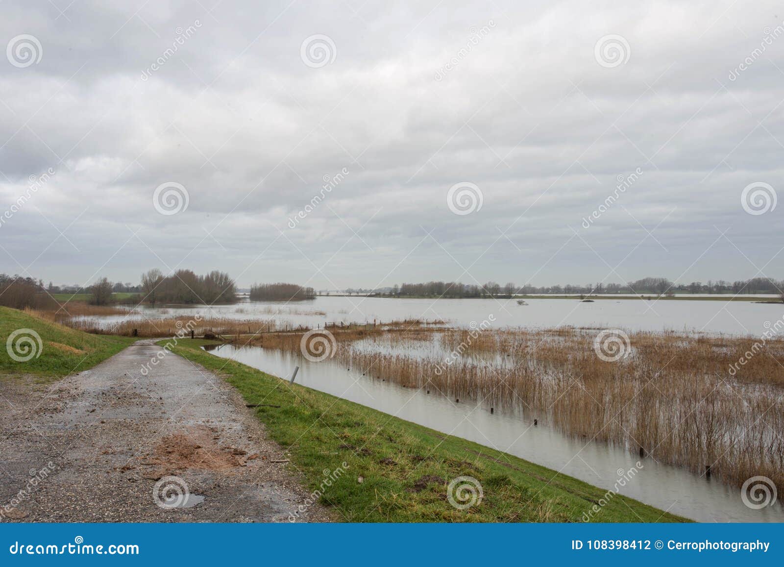 Flood in the Netherlands stock photo. Image of flooded - 108398412
