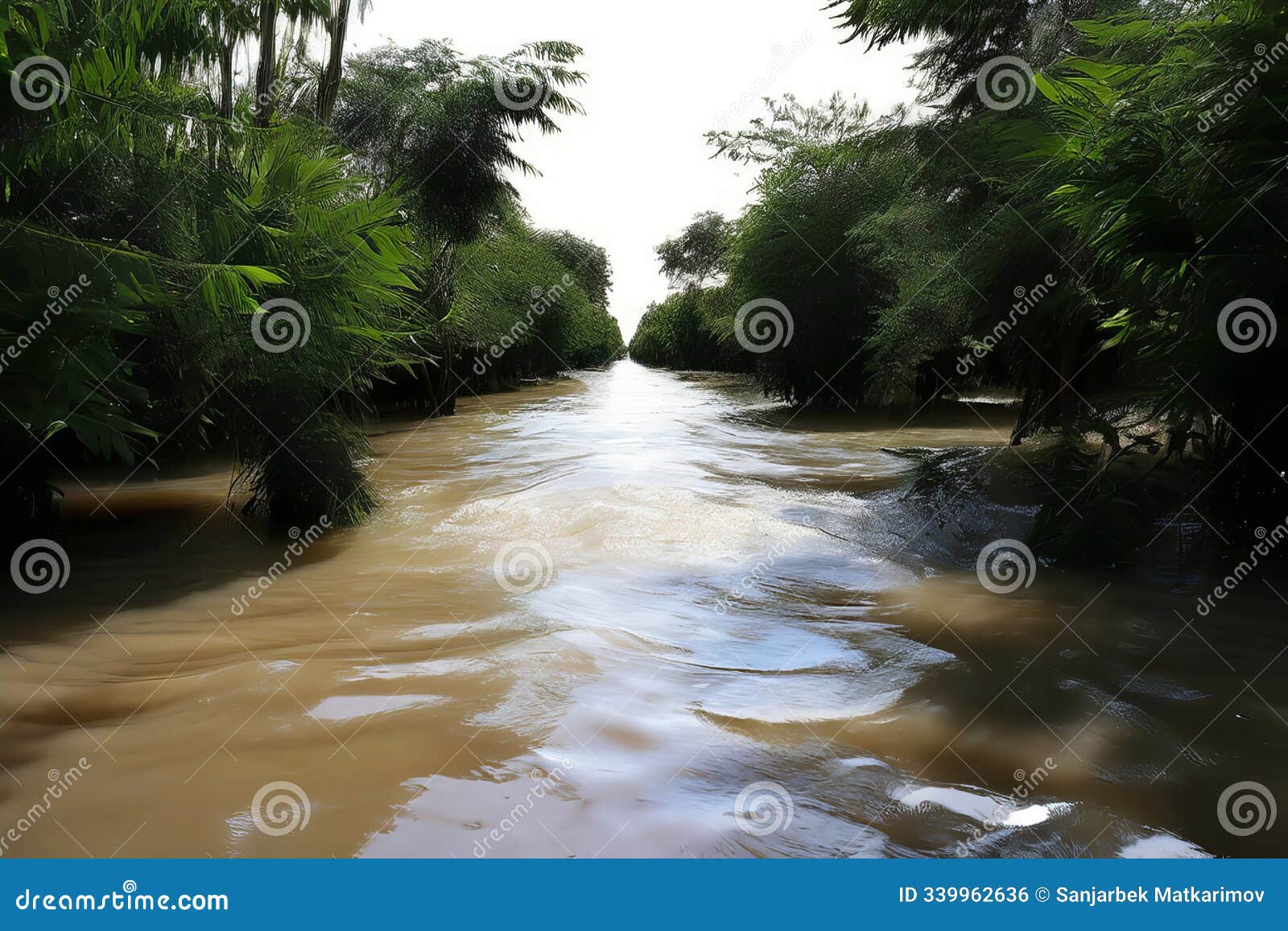Flood an Overflow of Water that Submerges Land and Causes Damage Stock ...