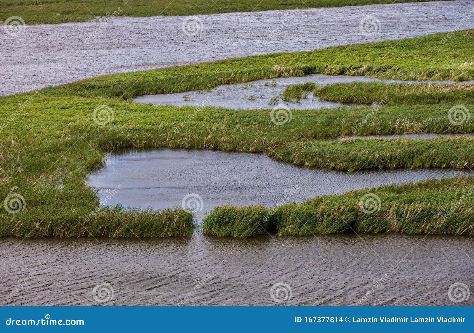 Overflowing river stock photo. Image of riverside, grassland - 167377814