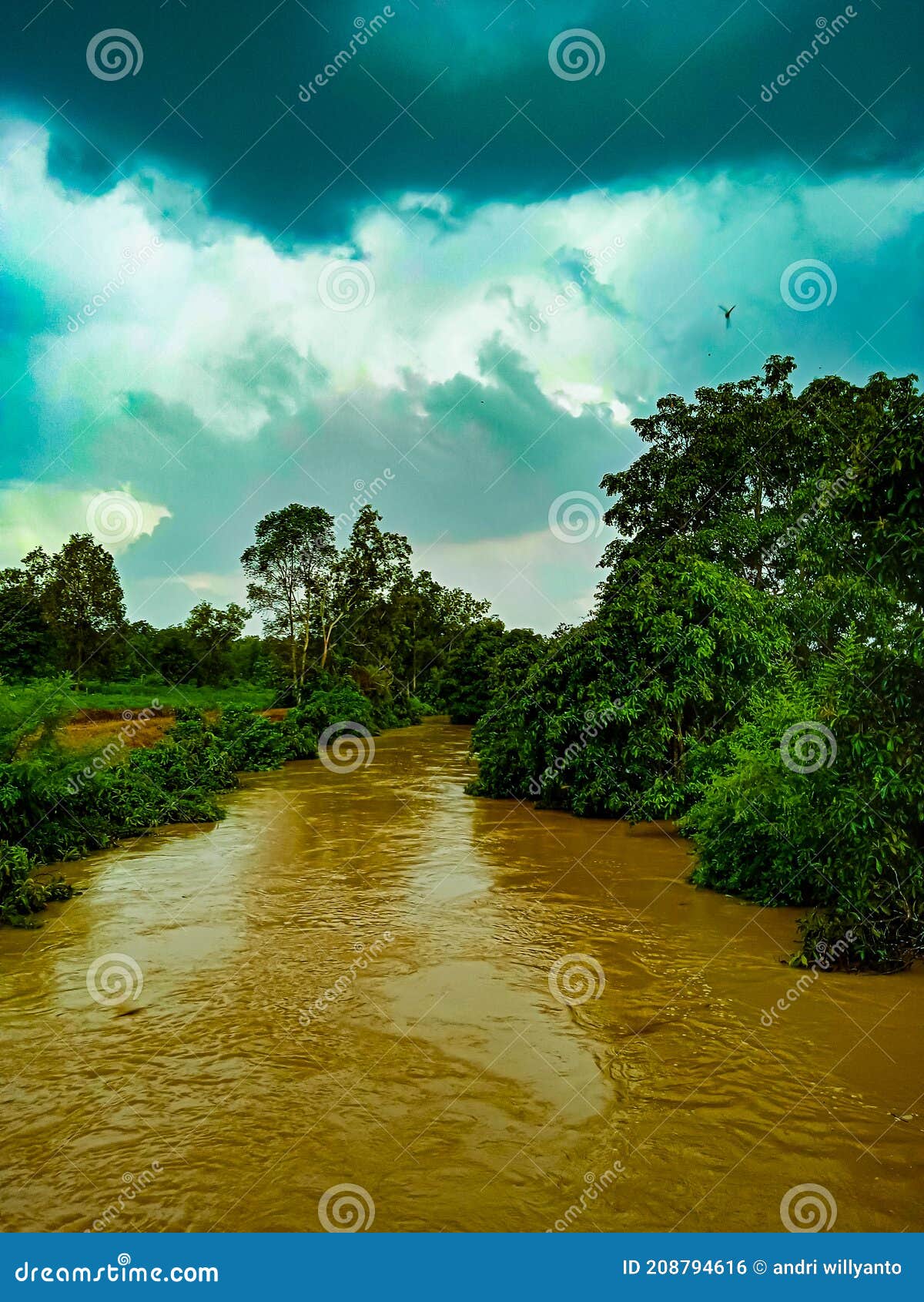 Flood river after the rain stock photo. Image of green - 208794616
