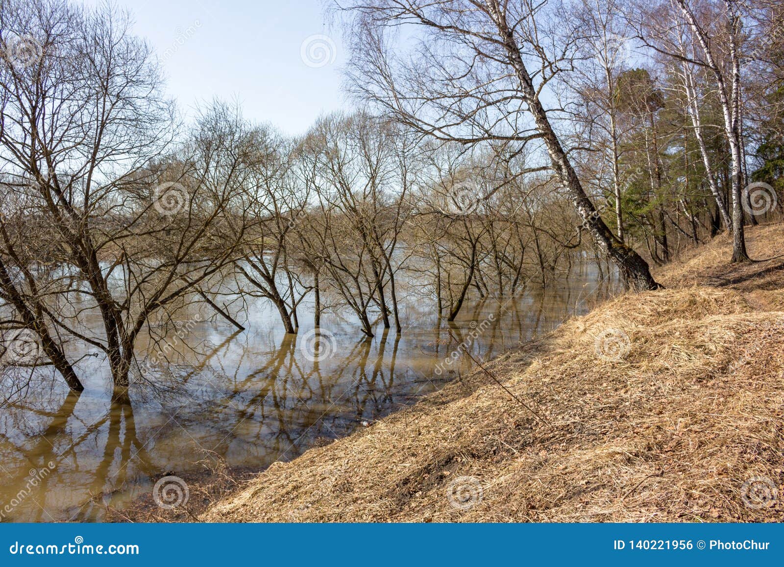 The Flood of the River in Spring in High Water Stock Photo - Image of ...