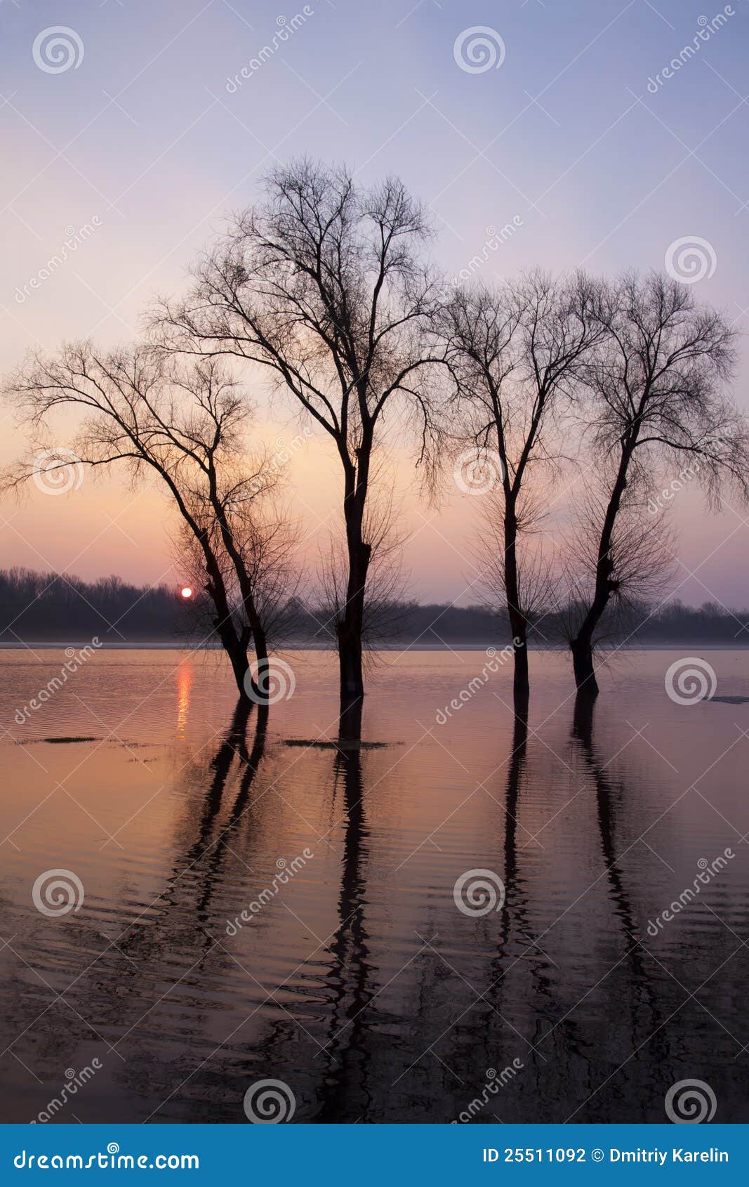 Flood tide trees stock photo. Image of rhine, natural - 25511092