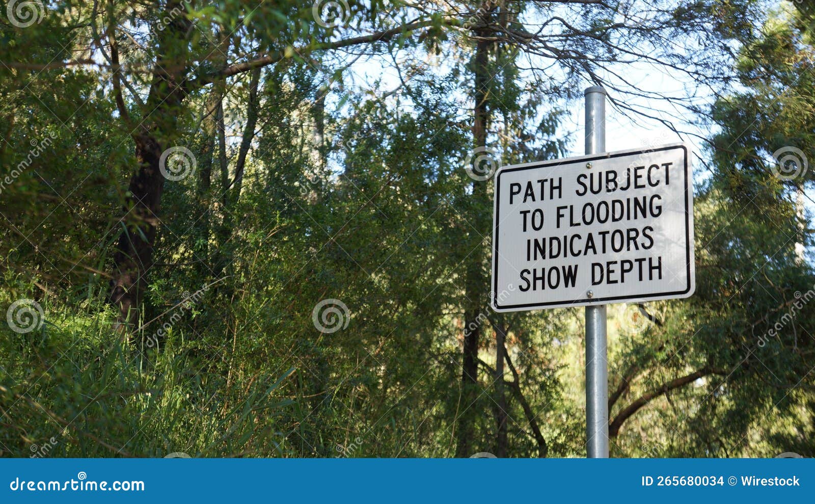 Dense Row Of Warning Road Signs With Signal Lights Separating Temporary ...