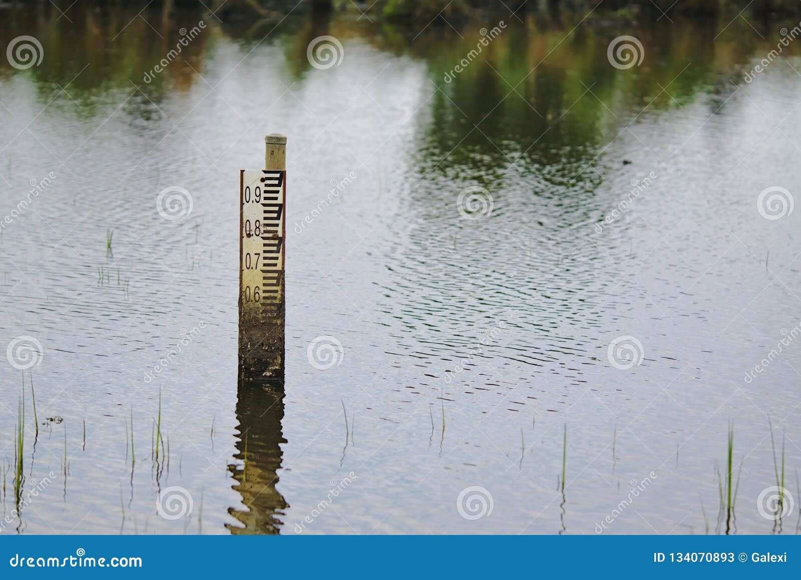 Flood Water Level Indicator in Water Stock Image - Image of indicators ...
