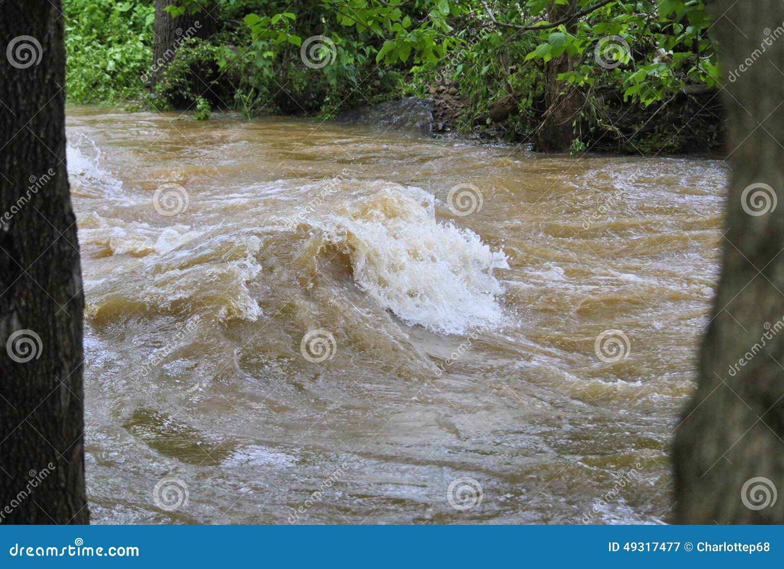Flood waters stock image. Image of overflow, disaster - 49317477
