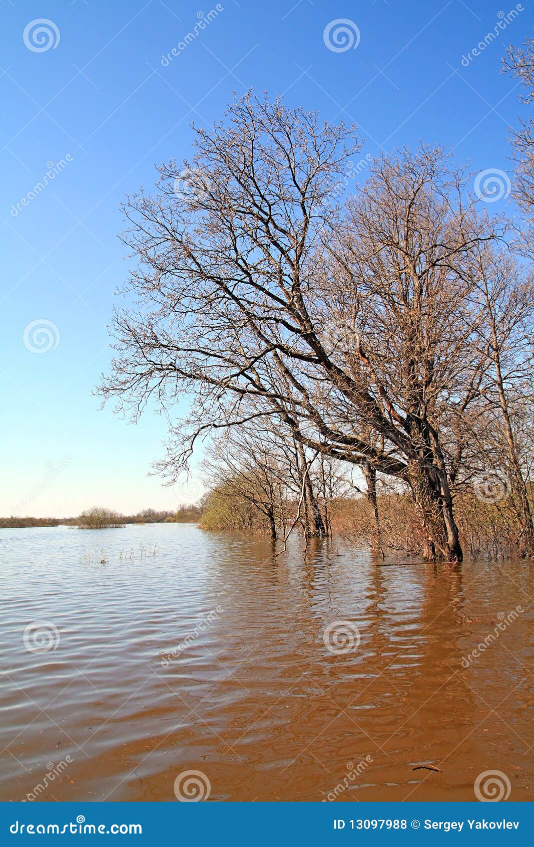 Flood in wood stock photo. Image of forest, orange, disaster - 13097988