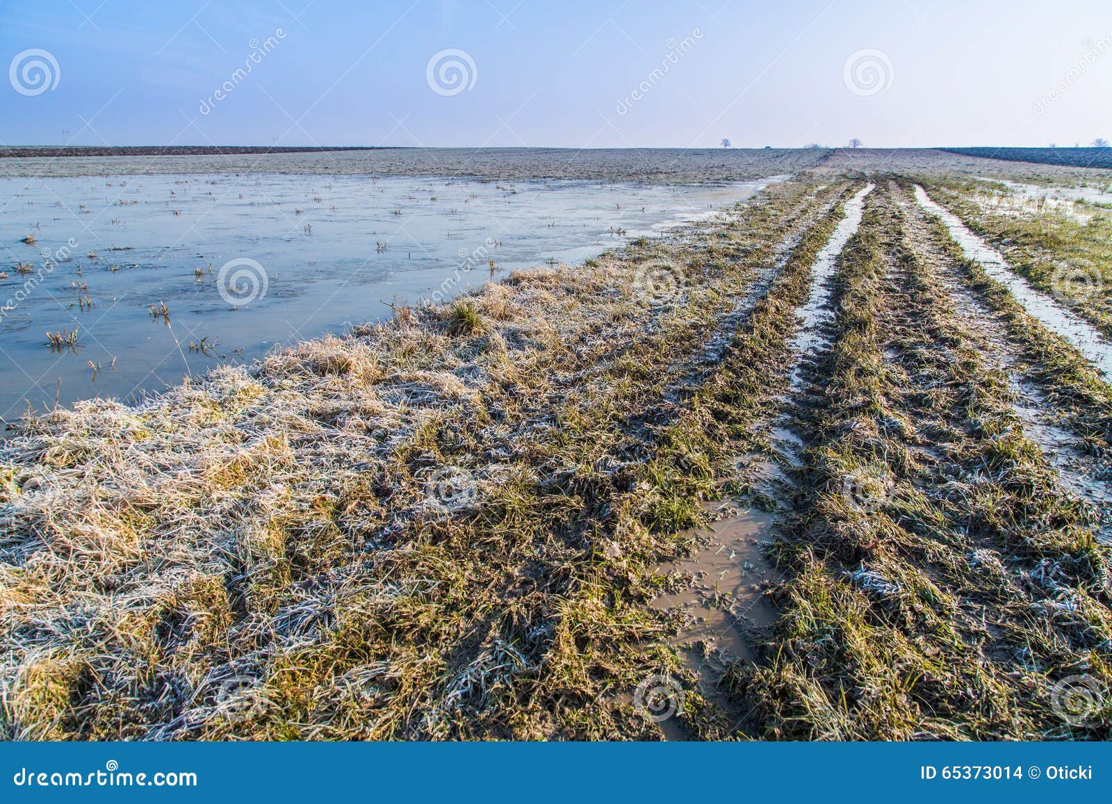 Flooded Agricultural Field at Winter Stock Photo - Image of weather ...