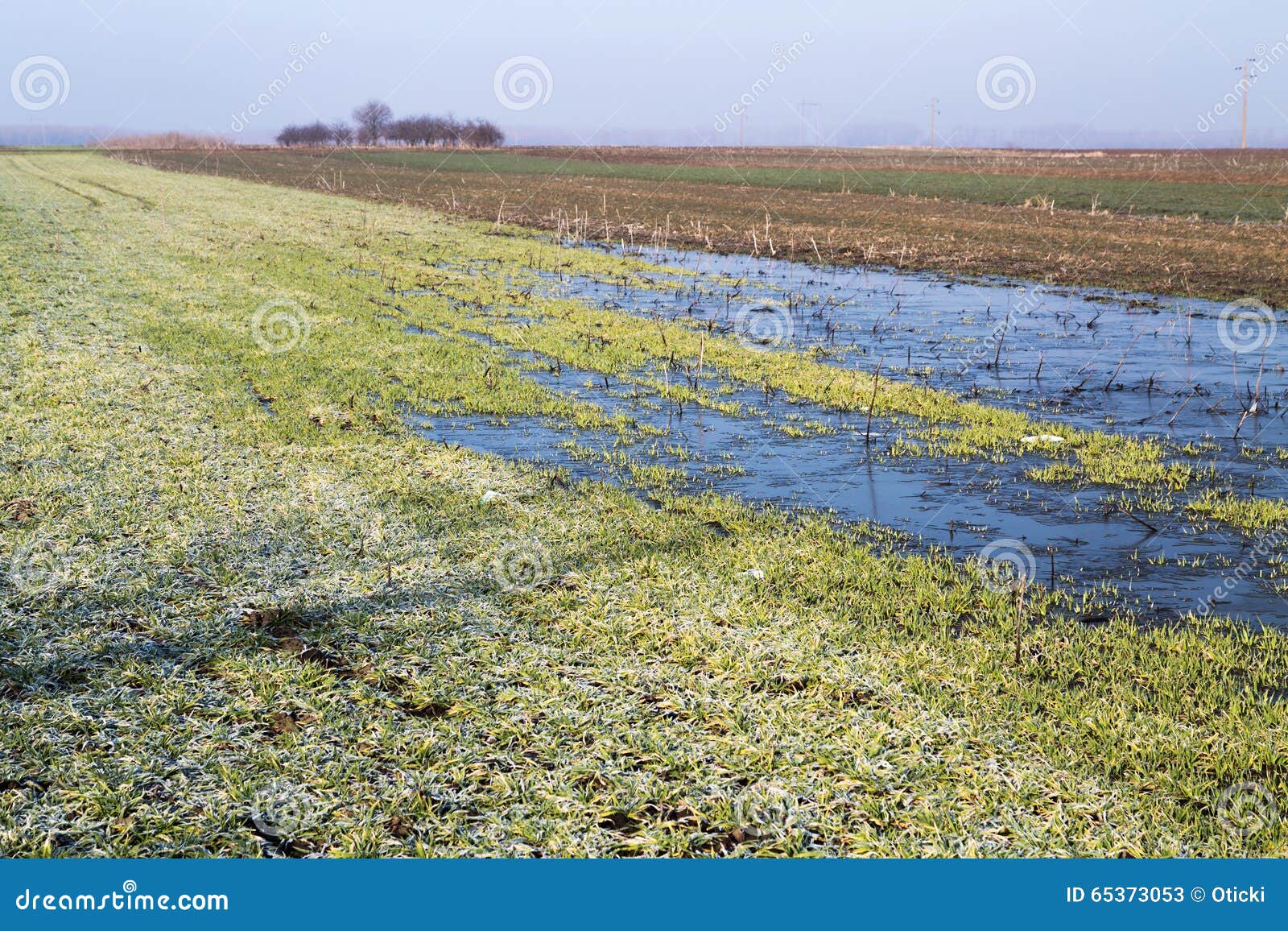 Flooded Agricultural Field at Winter Stock Image - Image of agriculture ...