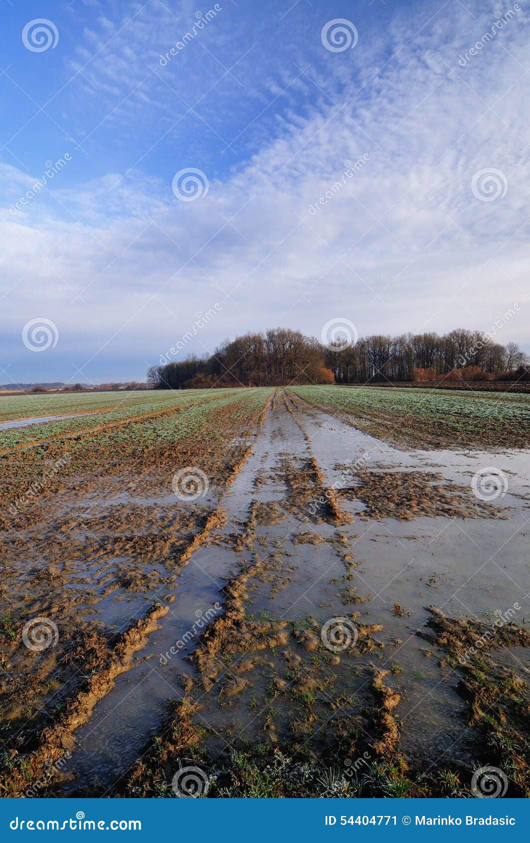 Flooded agriculture field stock image. Image of agricultural - 54404771