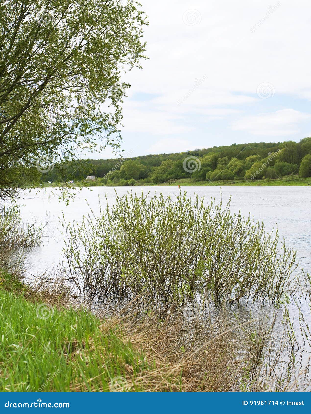 Flooded Bank of the river stock photo. Image of spring - 91981714