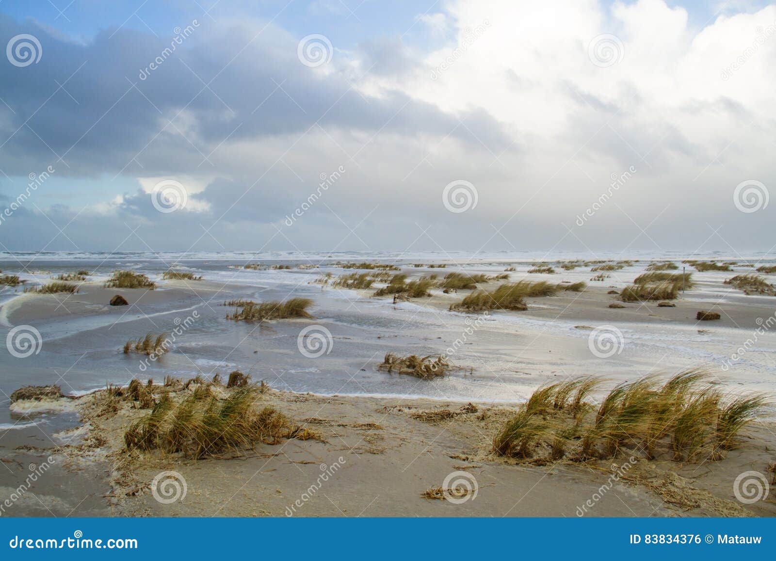 Sand Couch On Stormy Beach Royalty-Free Stock Photo | CartoonDealer.com ...