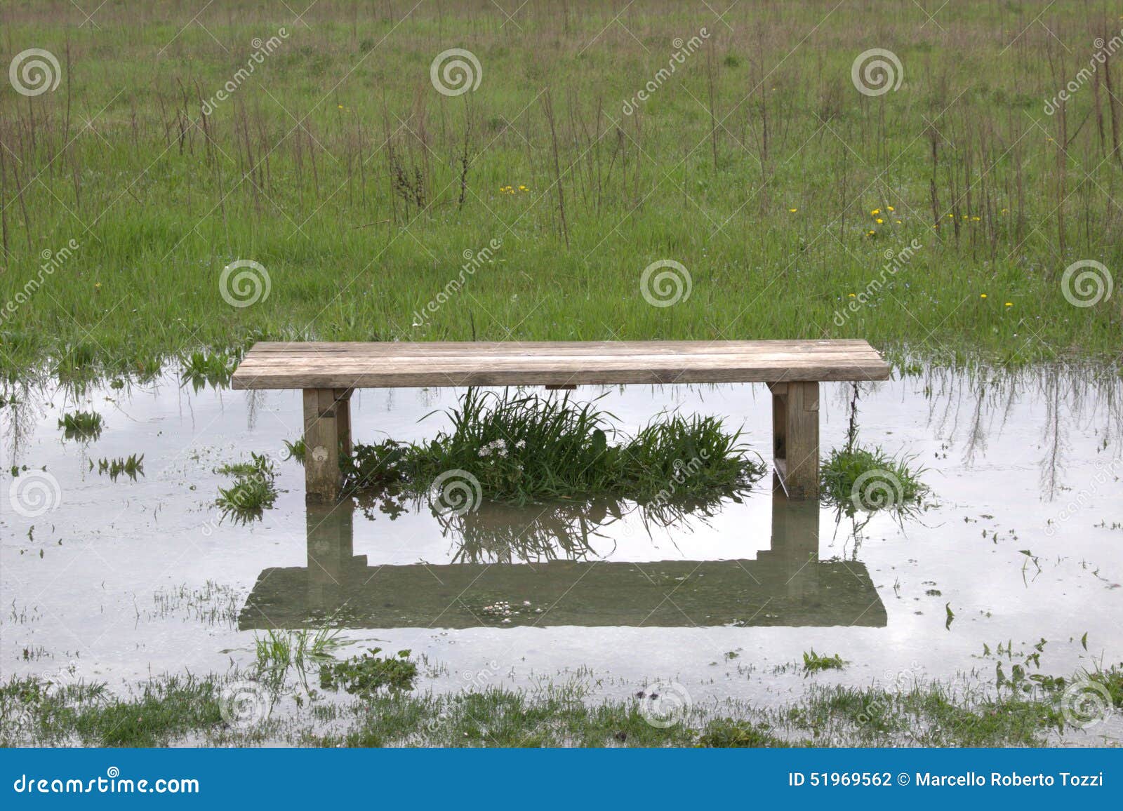 Flooded bench stock photo. Image of flooded, outside - 51969562