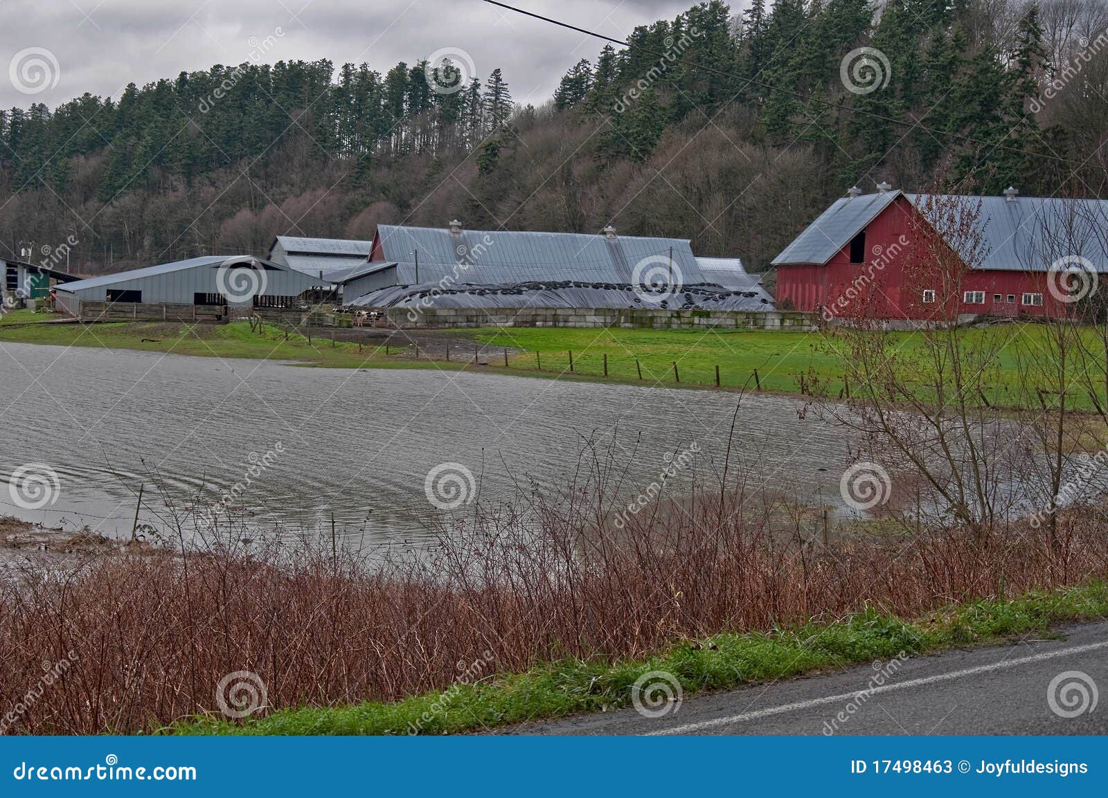 Flooded Dairy Farm editorial stock photo. Image of buildings - 17498463