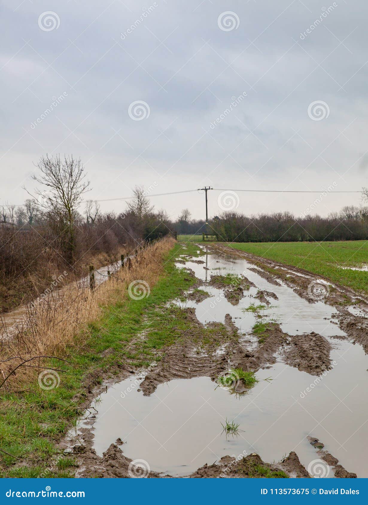 With Deeply Rutted, Water-filled, Muddy Tracks In The Foreground, A Wet ...