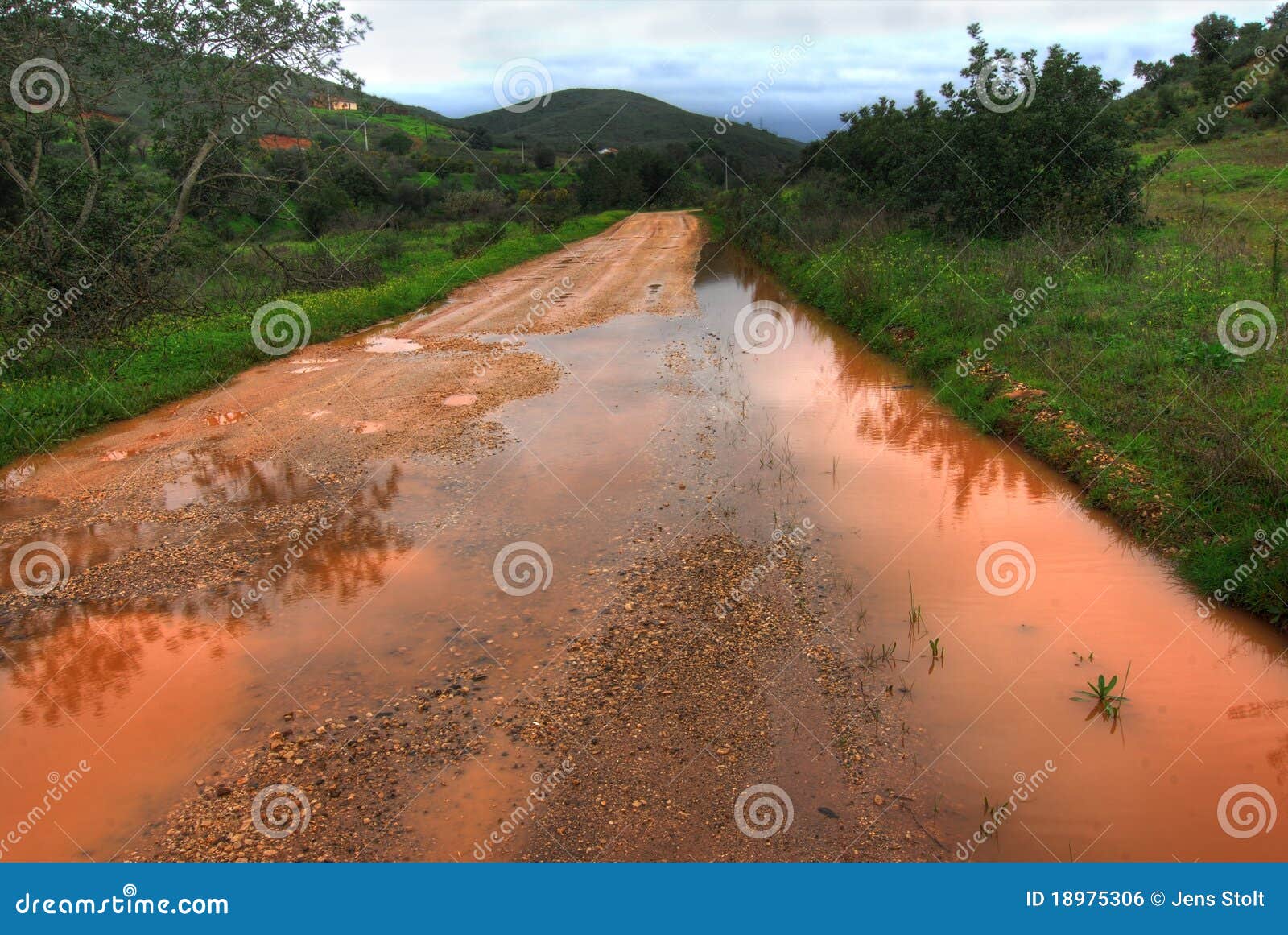 Flooded dirt road stock photo. Image of grass, muddy - 18975306