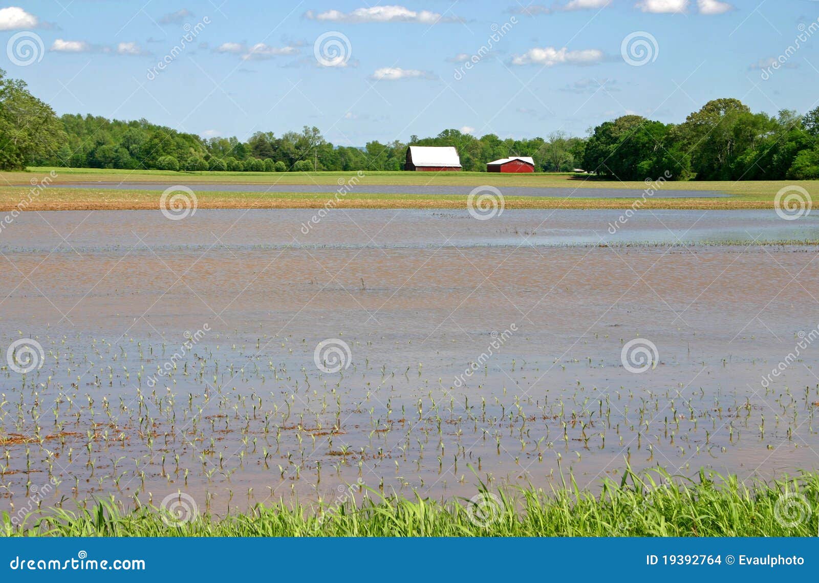 Flooded Farm stock photo. Image of flood, meadow, spring - 19392764