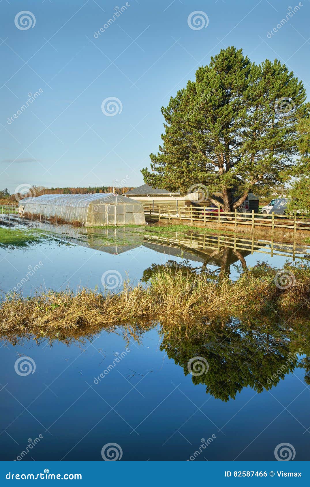 Flooded Farm stock photo. Image of greenhouse, autumn - 82587466