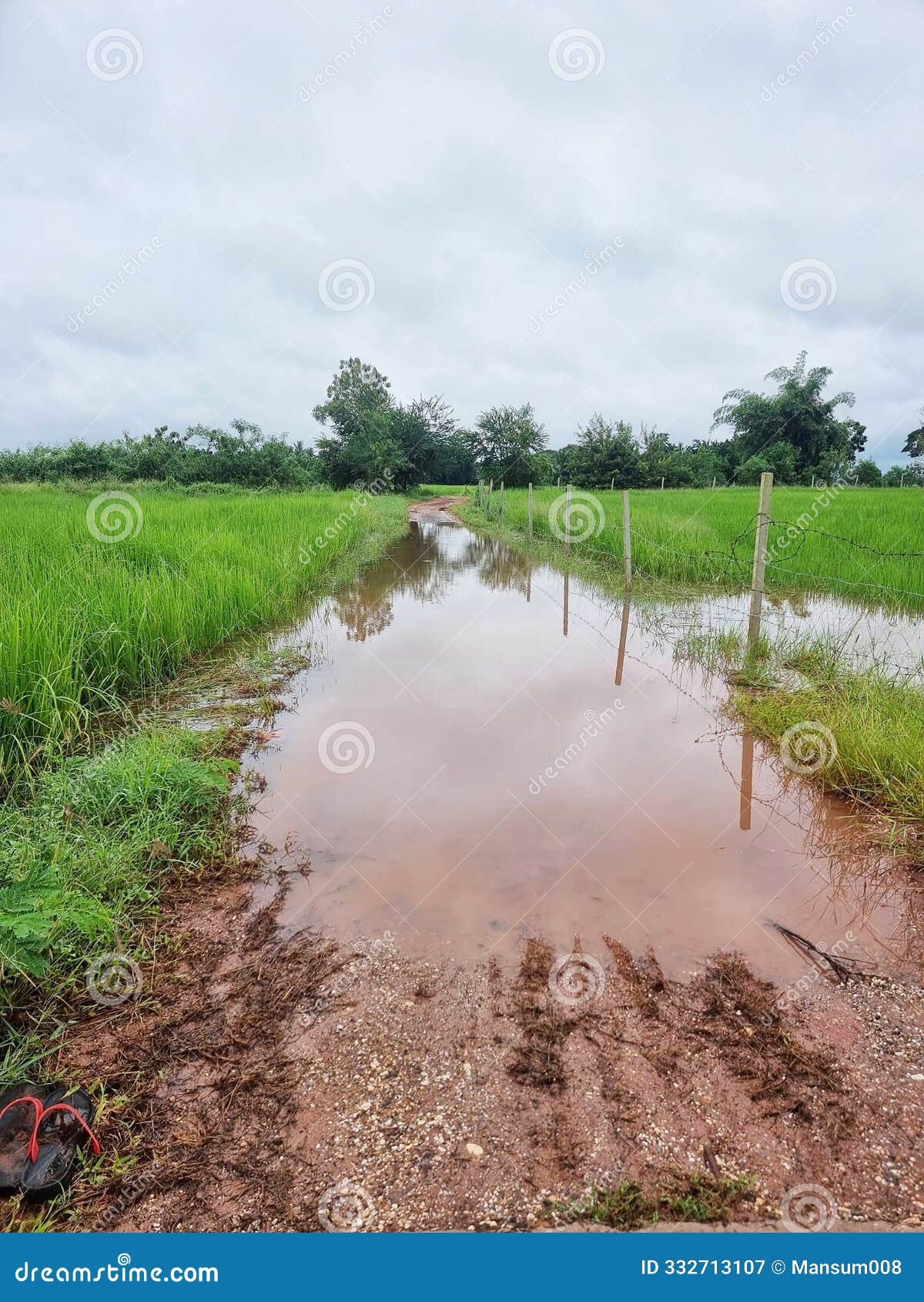 A Flooded Field with Dirt Road Stock Image - Image of flood, outdoor ...