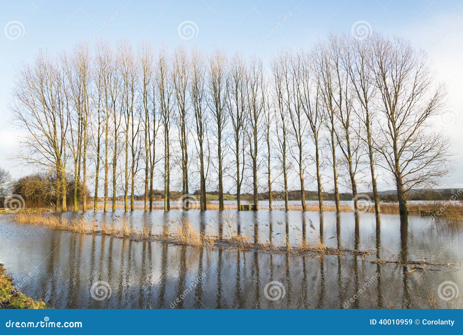 A flooded field. stock image. Image of color, field, beautiful - 40010959