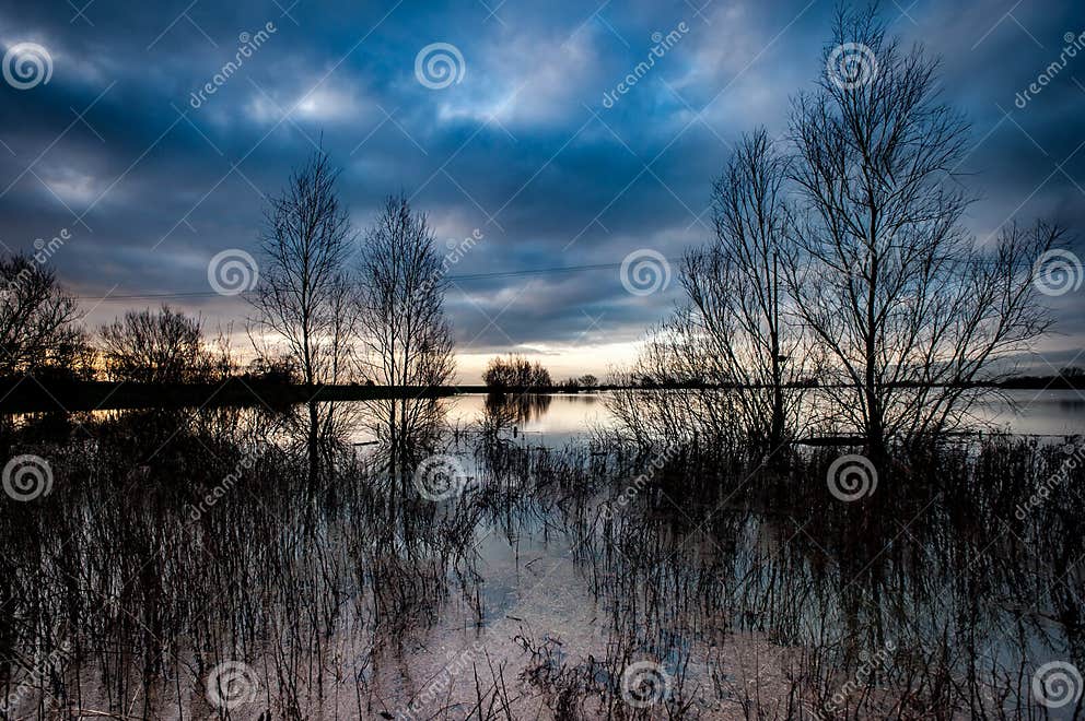 Flooded fields in Fenland stock photo. Image of rain - 64584752
